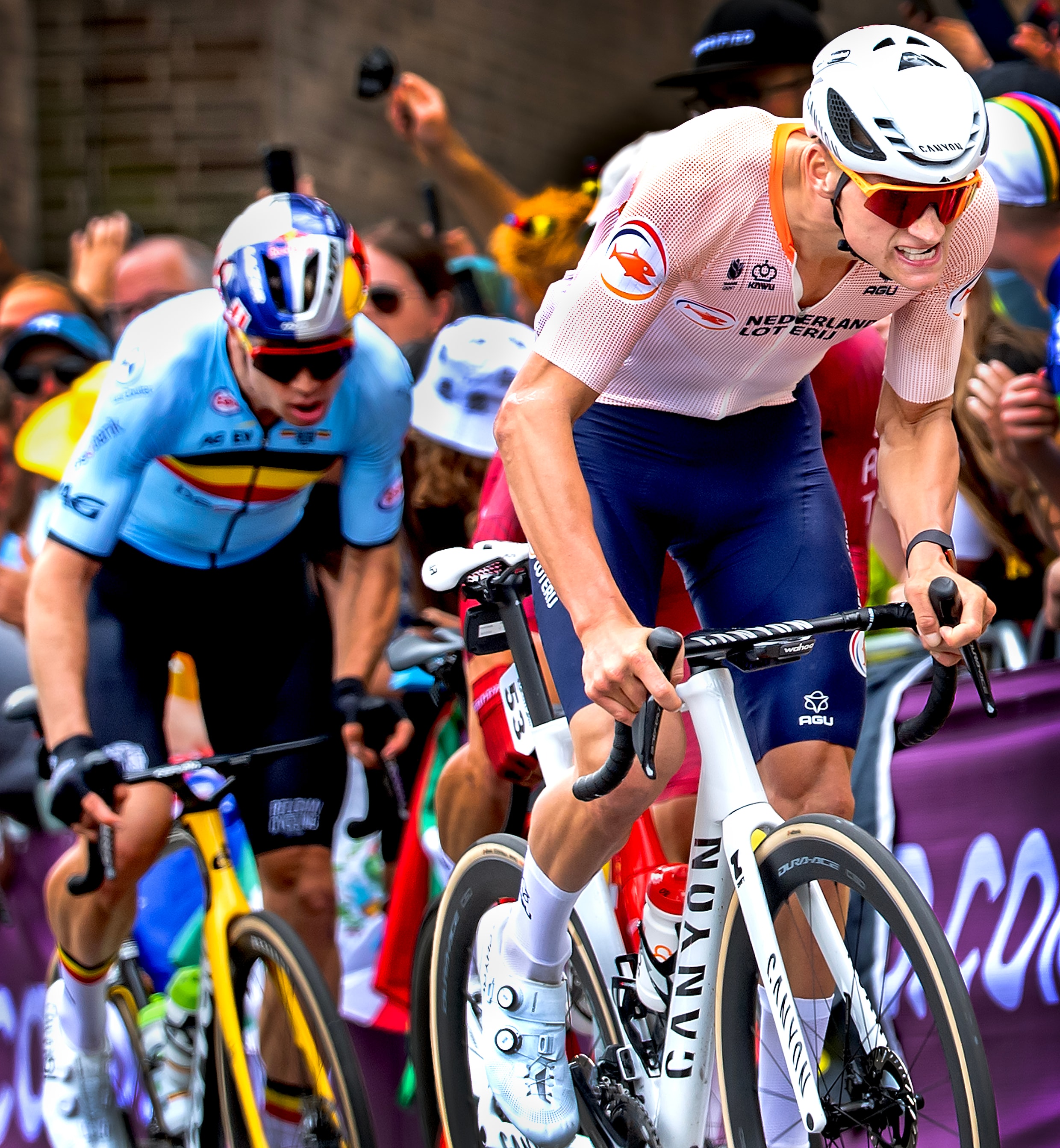 Dankzij berekening en tactiek beleeft Mathieu van der Poel zijn wonderjaar | de Volkskrant