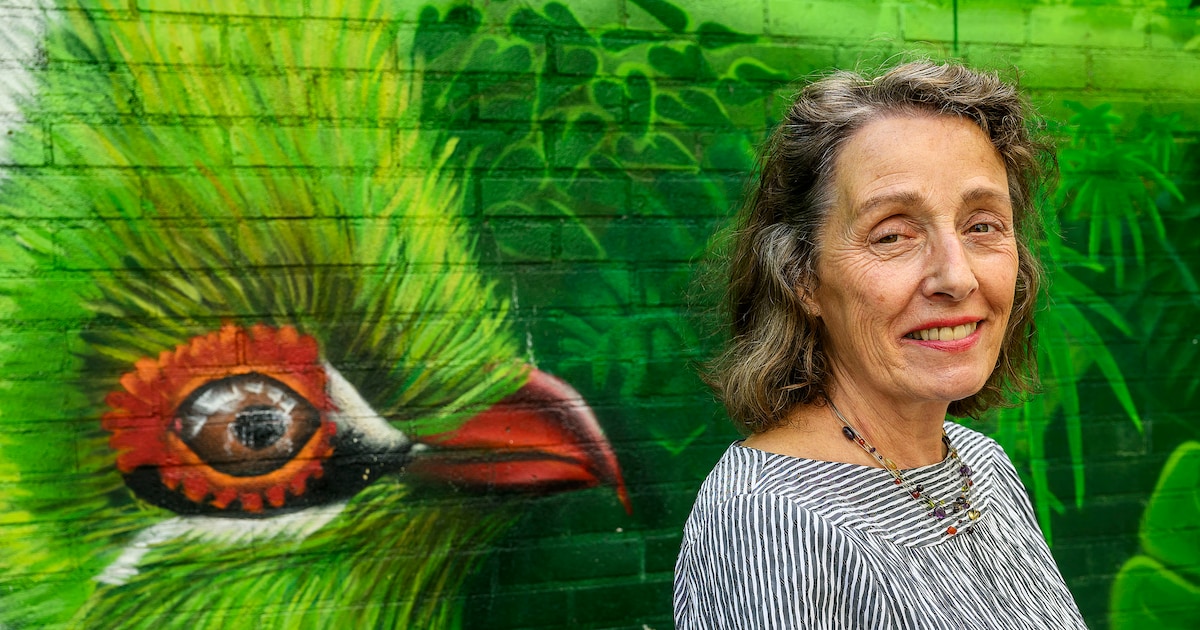 Ina Brouwer hoopt na dertig jaar op terugkeer in de Kamer: ‘Het is geen ...