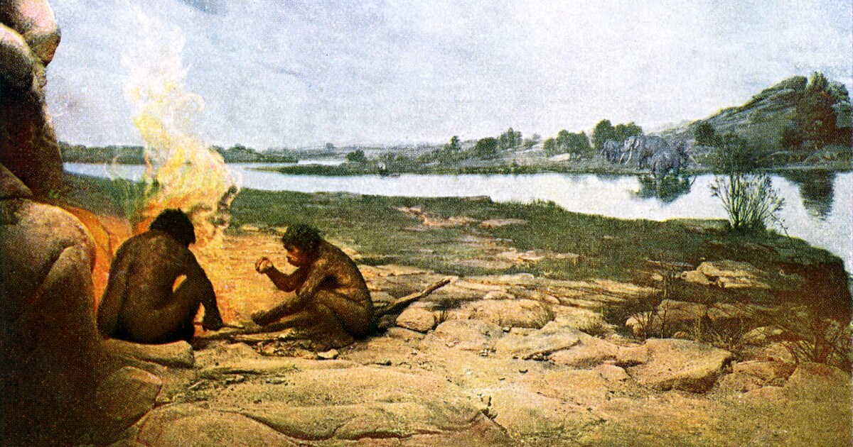 Oermens stierf op een haar na uit, zo blijkt uit hedendaags dna | de ...