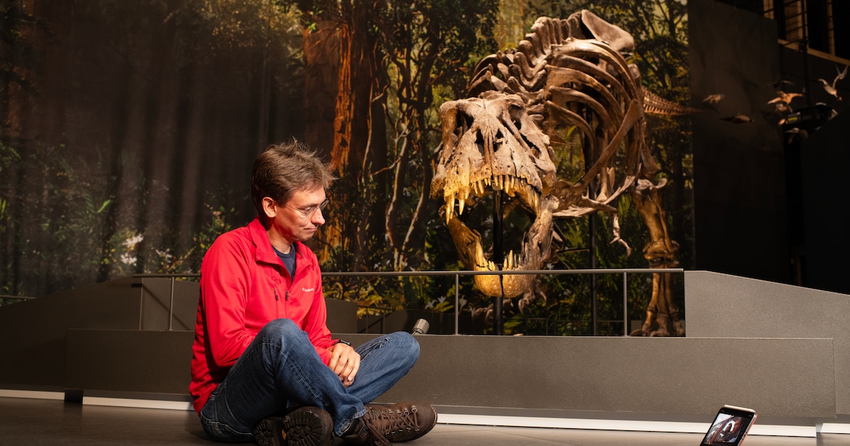 Bontgekleurde dino’s en verstuikte T. rex-poten: vier inzichten uit 30 jaar ‘Jurassic Park’ | de ...