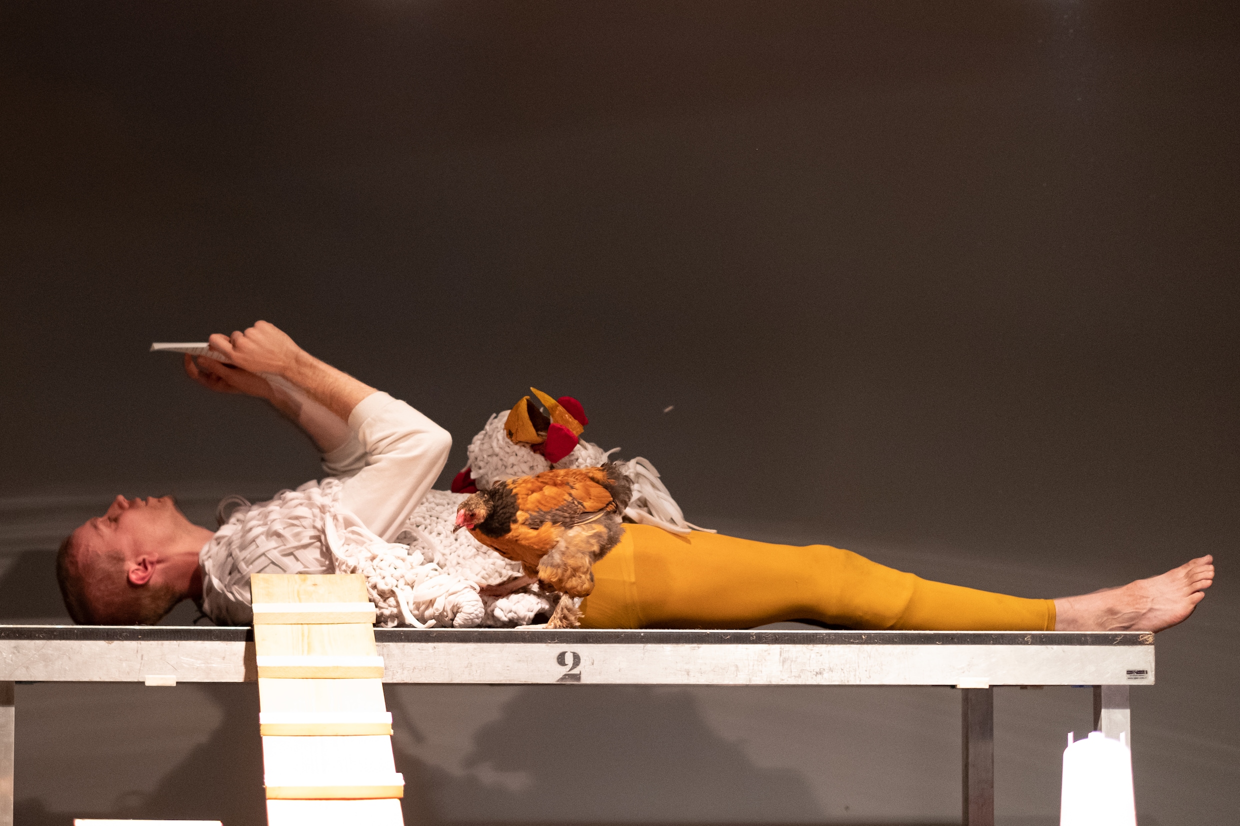 recensie: Theatervoorstelling voor kippen zet publiek op het podium en ...