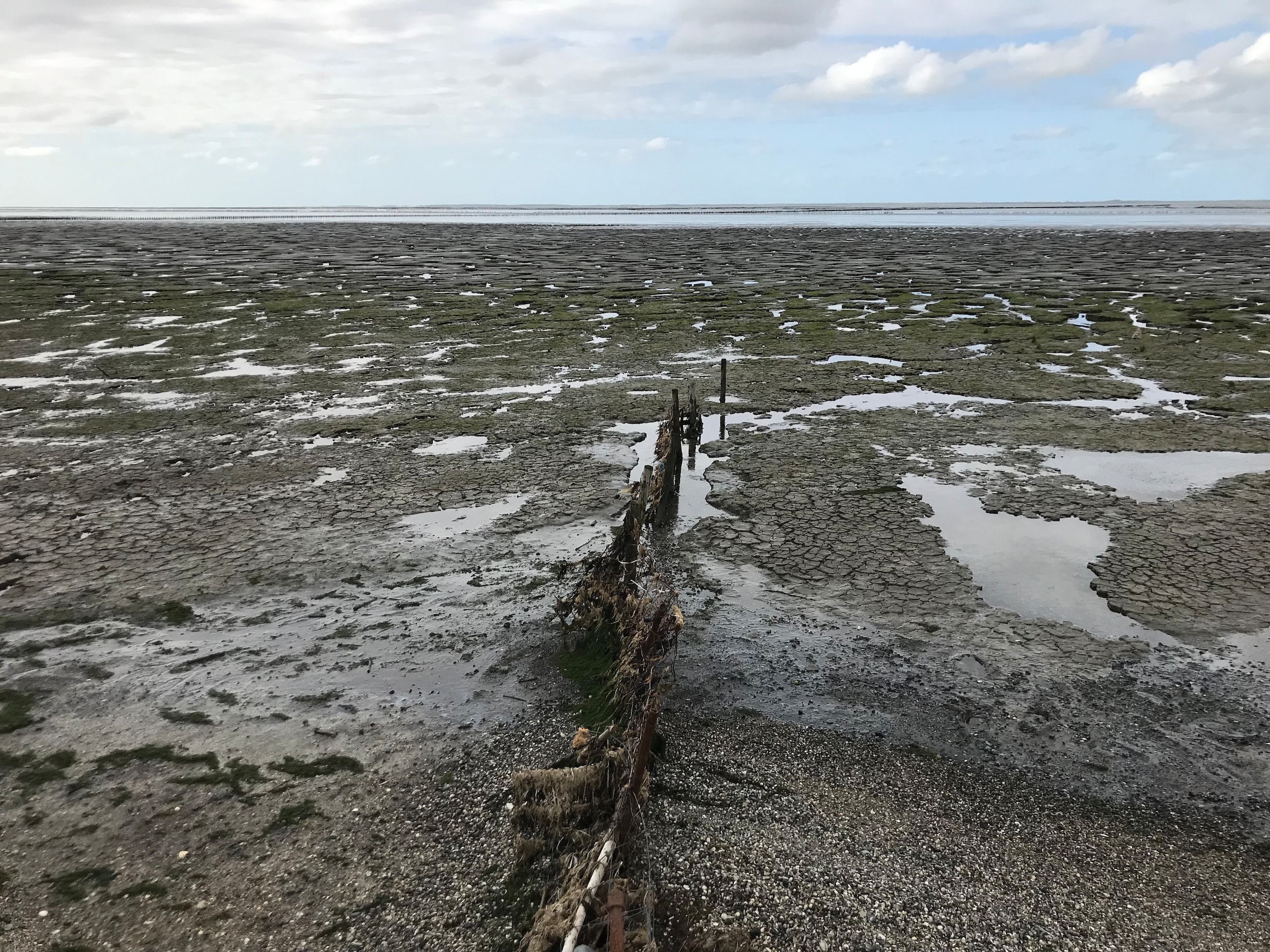 Waarom het Friese dorp Ternaard ineens onderwerp van gesprek was ...