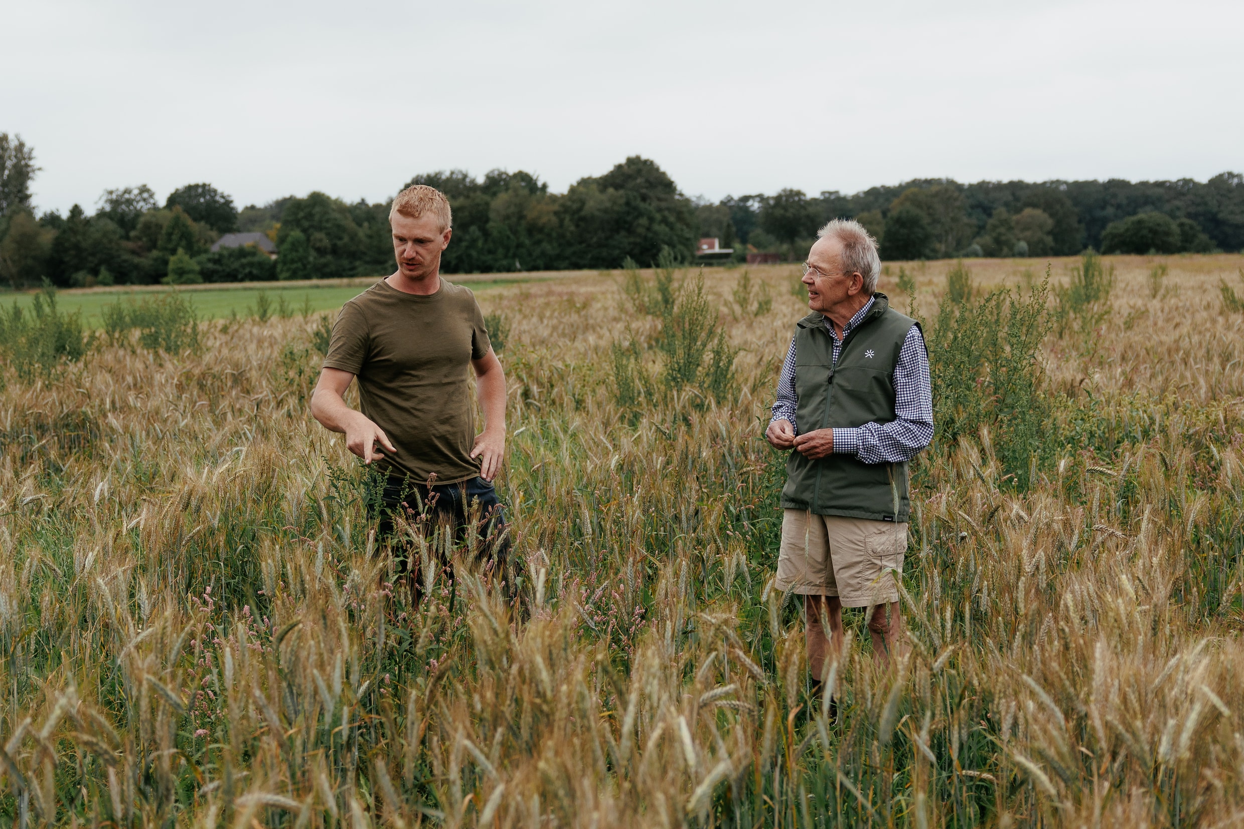 Landbouw en biodiversiteit gaan samen bij Onneresch, waar tussen de vogels huttentut en boekweit ...
