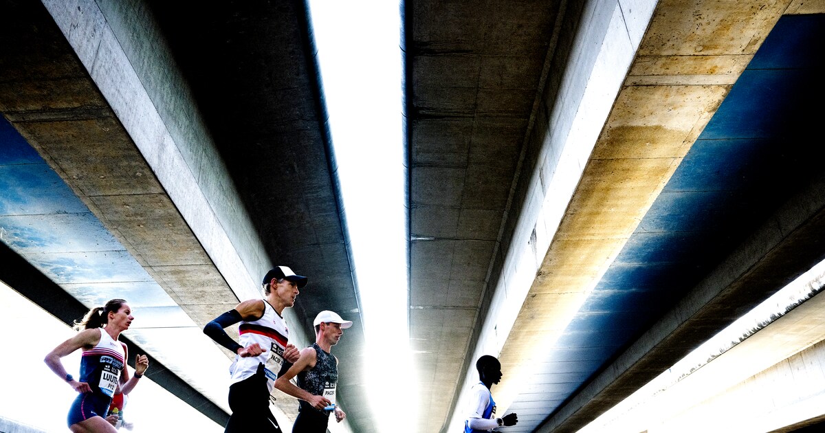 De verschillen tussen de marathon van Amsterdam en Rotterdam | de ...
