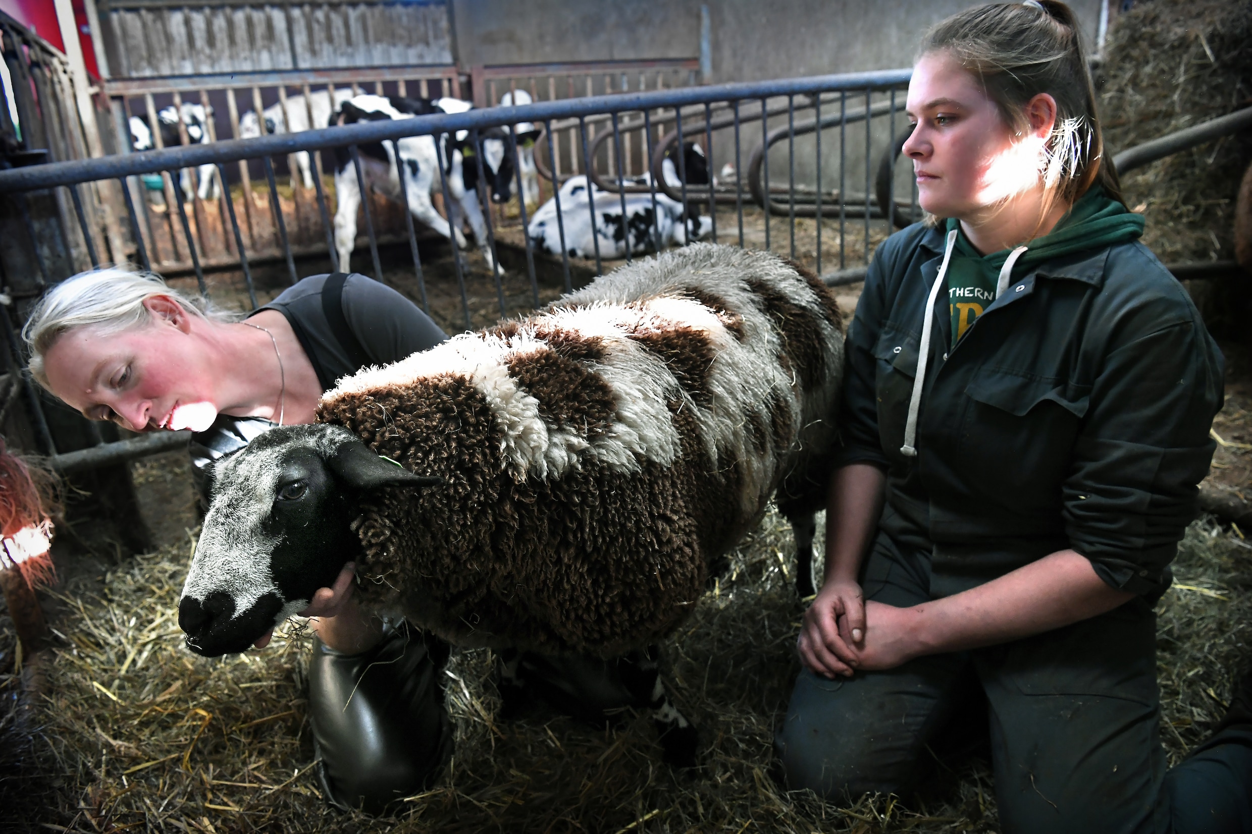 Op pad met een dierenarts langs boerenbedrijven die getroffen zijn door ...