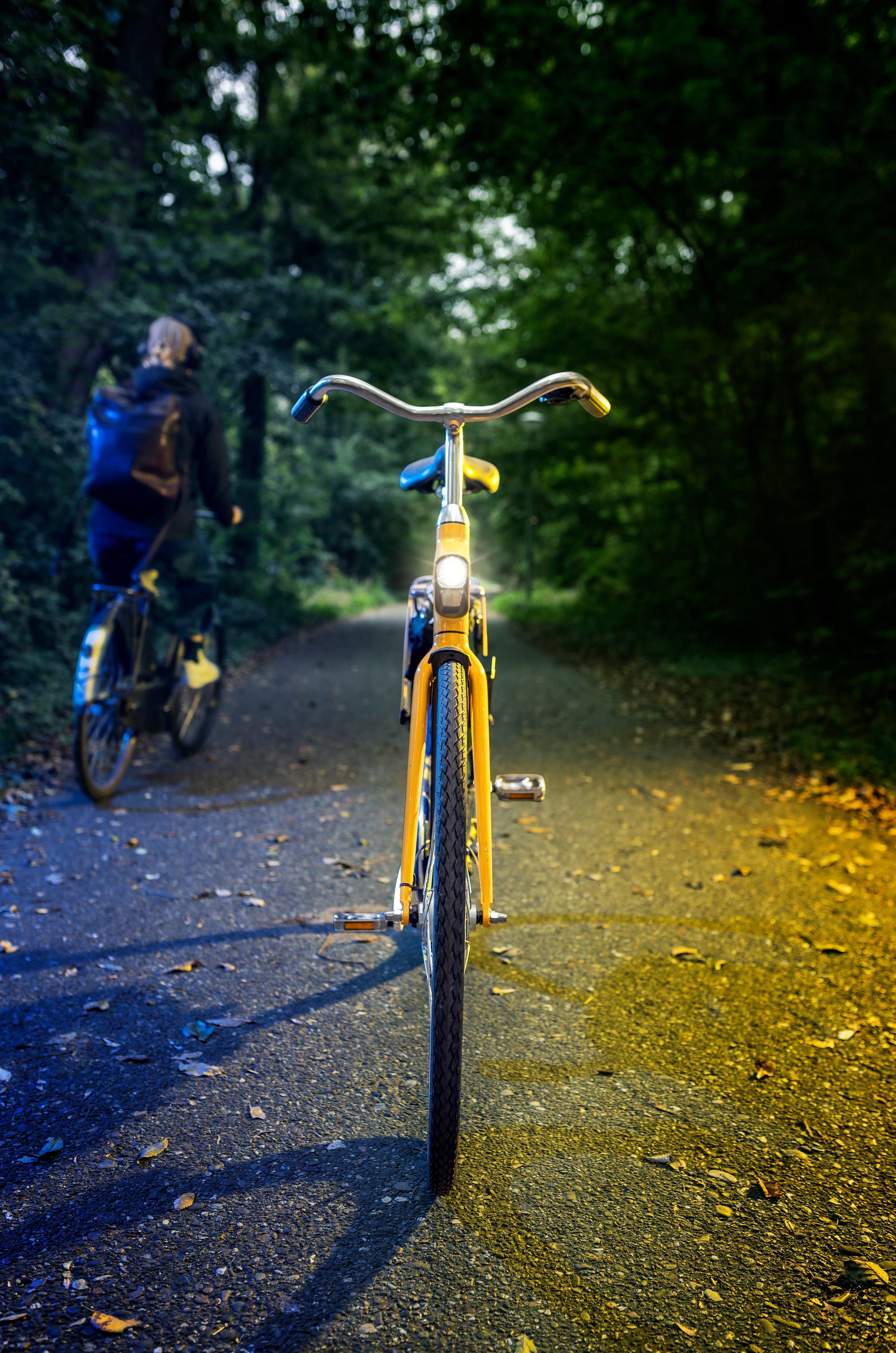 Hoe de nu zo geliefde ov-fiets – met veel moeite – het daglicht zag ...