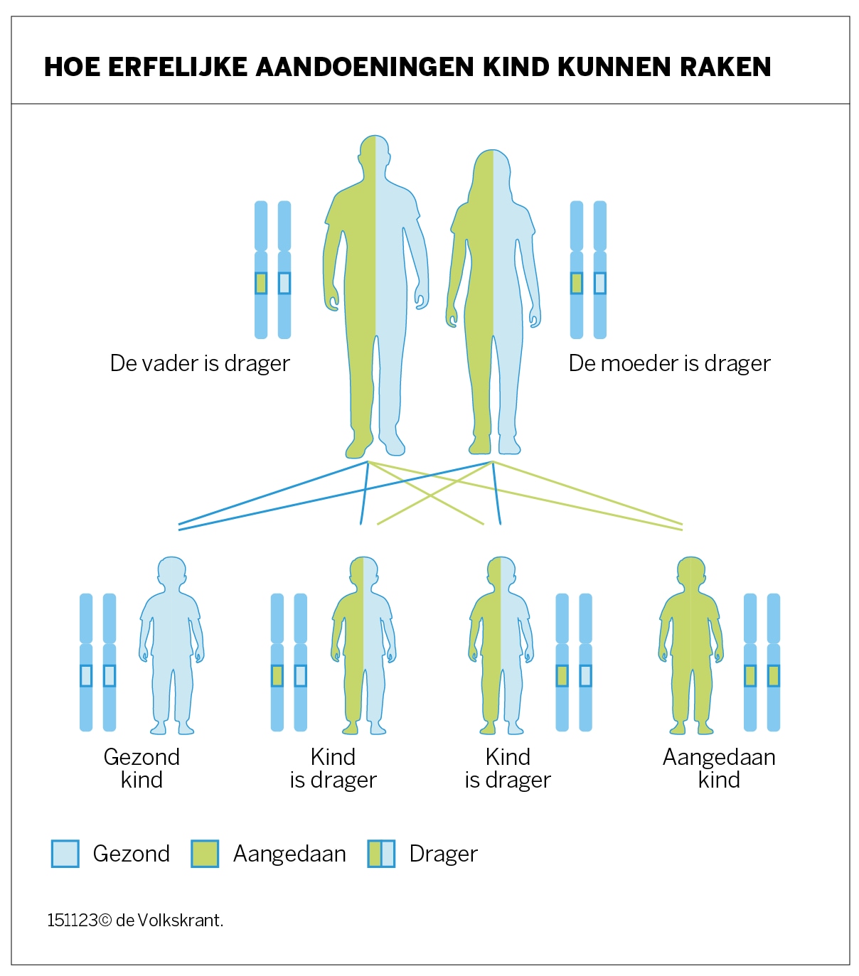 Dragerschapstest op erfelijke aandoeningen moet mogelijk zijn voor ...