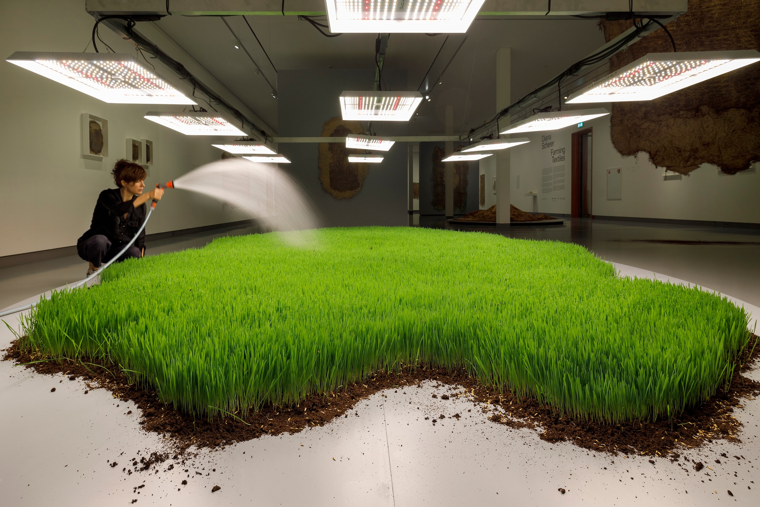 Kunst met gras: Diana Scherer werkt mét de natuur aan haar wonderlijke ...