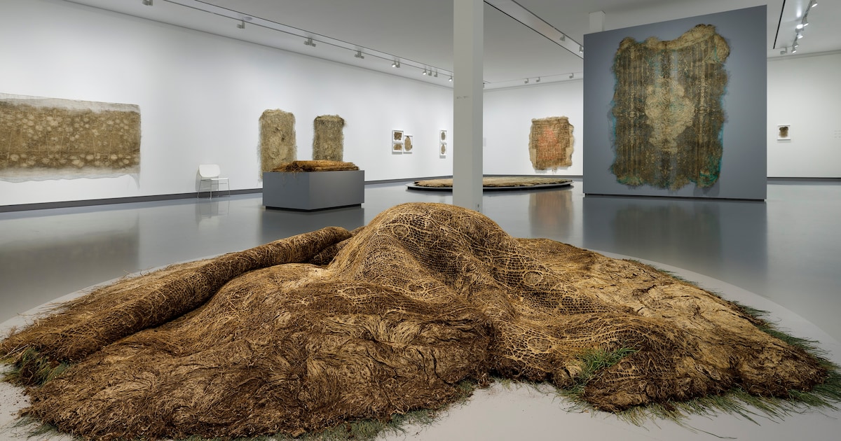 Kunst met gras: Diana Scherer werkt mét de natuur aan haar wonderlijke ...