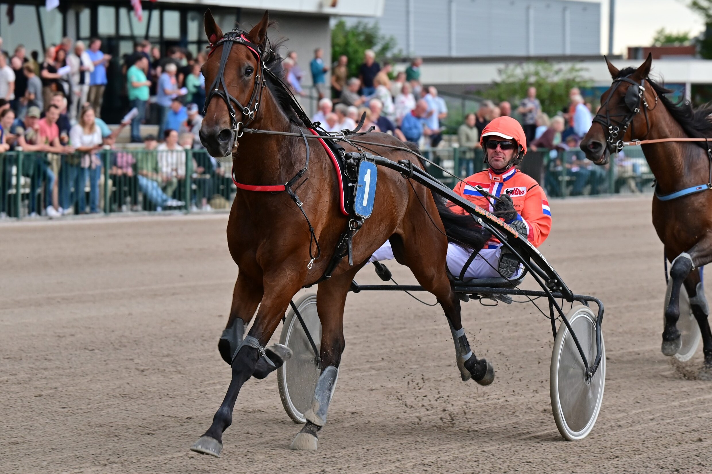 Vier wereldkampioenen van 2023 aan wie het Sportgala volledig voorbij ...