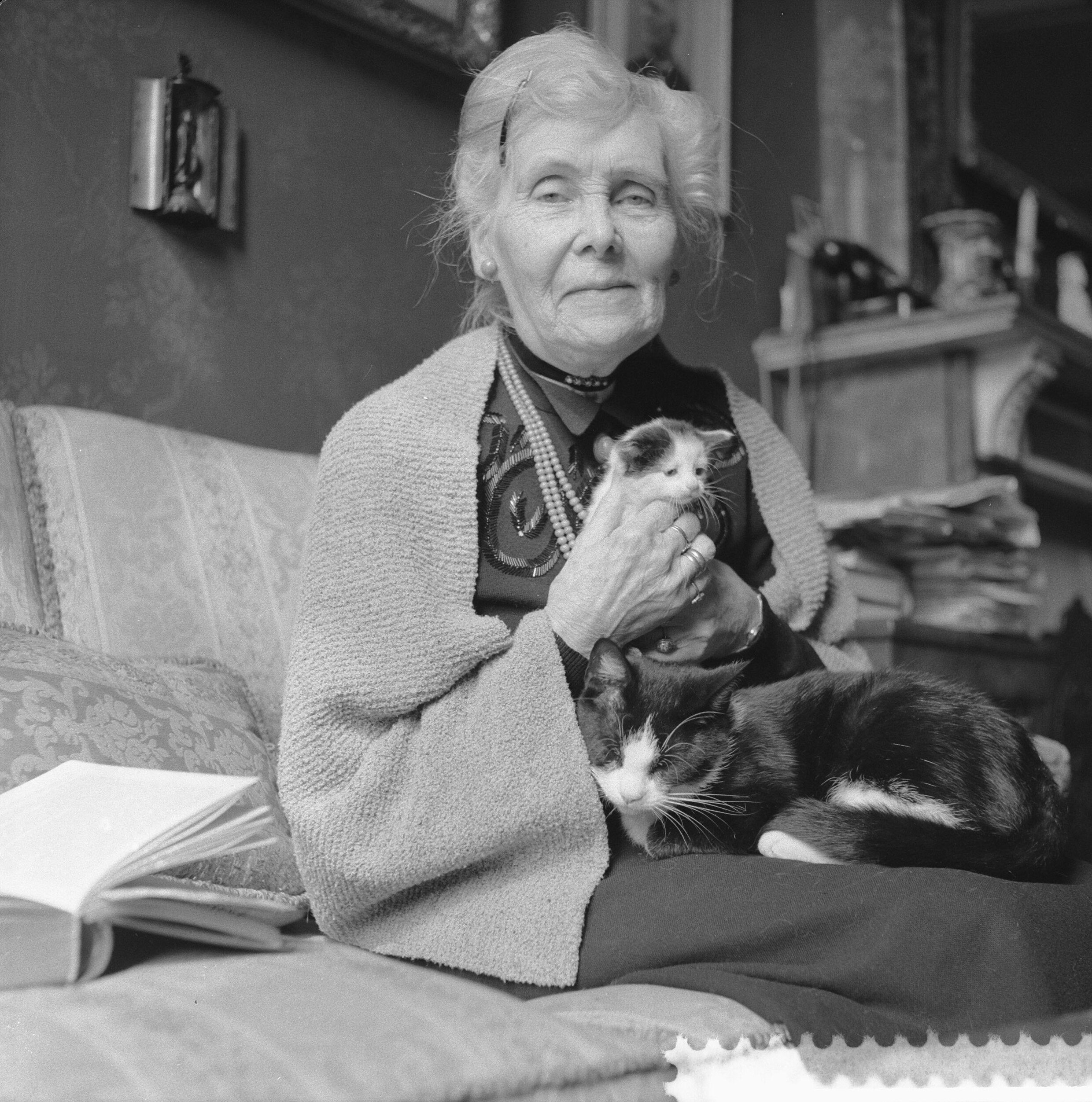 Fijne festivals, nieuwe boekenprogramma’s, belangwekkende herdenkingen: wat ons te wachten staat ...