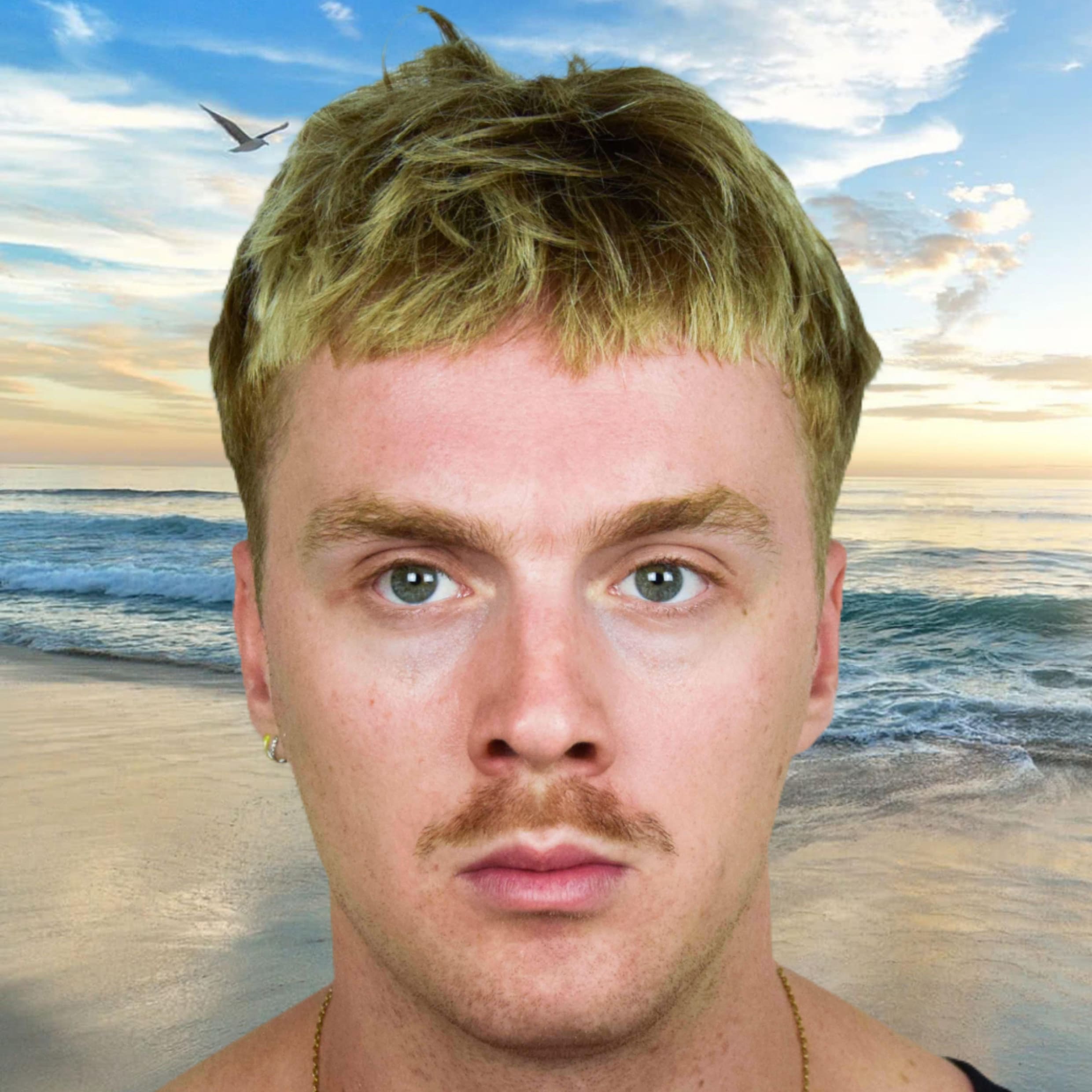 Dit zijn de genomineerden voor de Volkskrant Beeldende Kunst Prijs 2024 ...