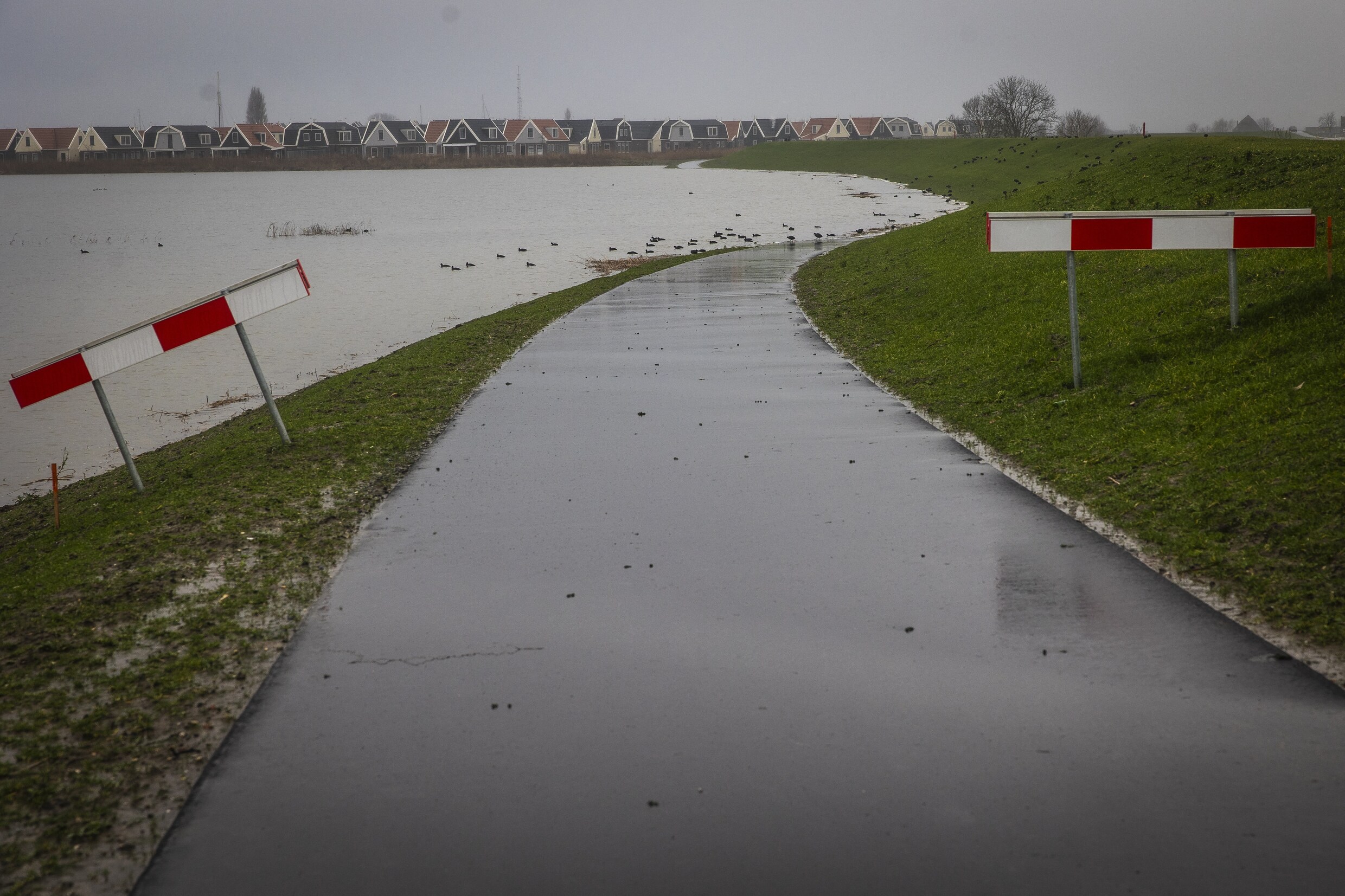 Steeds meer dammen weg, en nu hoogwater. Toeval? | de Volkskrant