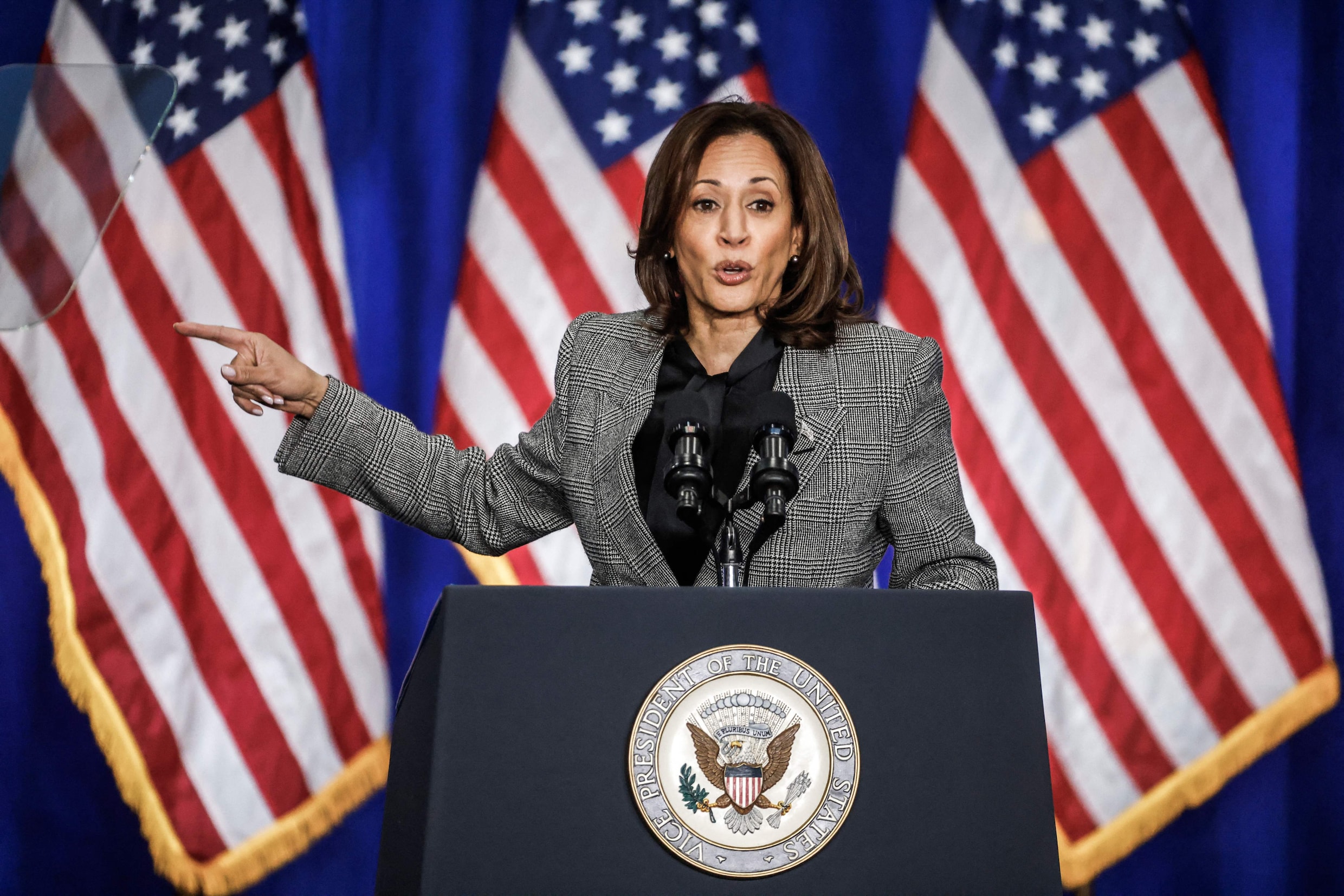 Is vicepresident Kamala Harris een troef of een handicap bij de ...