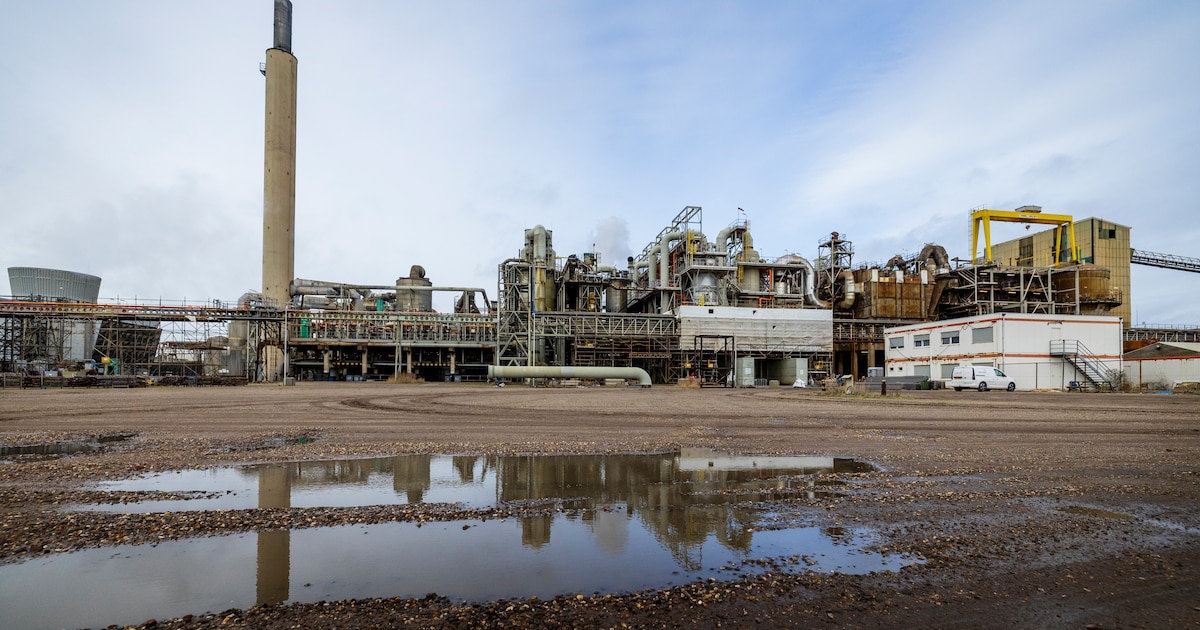 De energievretende zinkfabriek in Budel gaat in slaapstand: is dit het ...