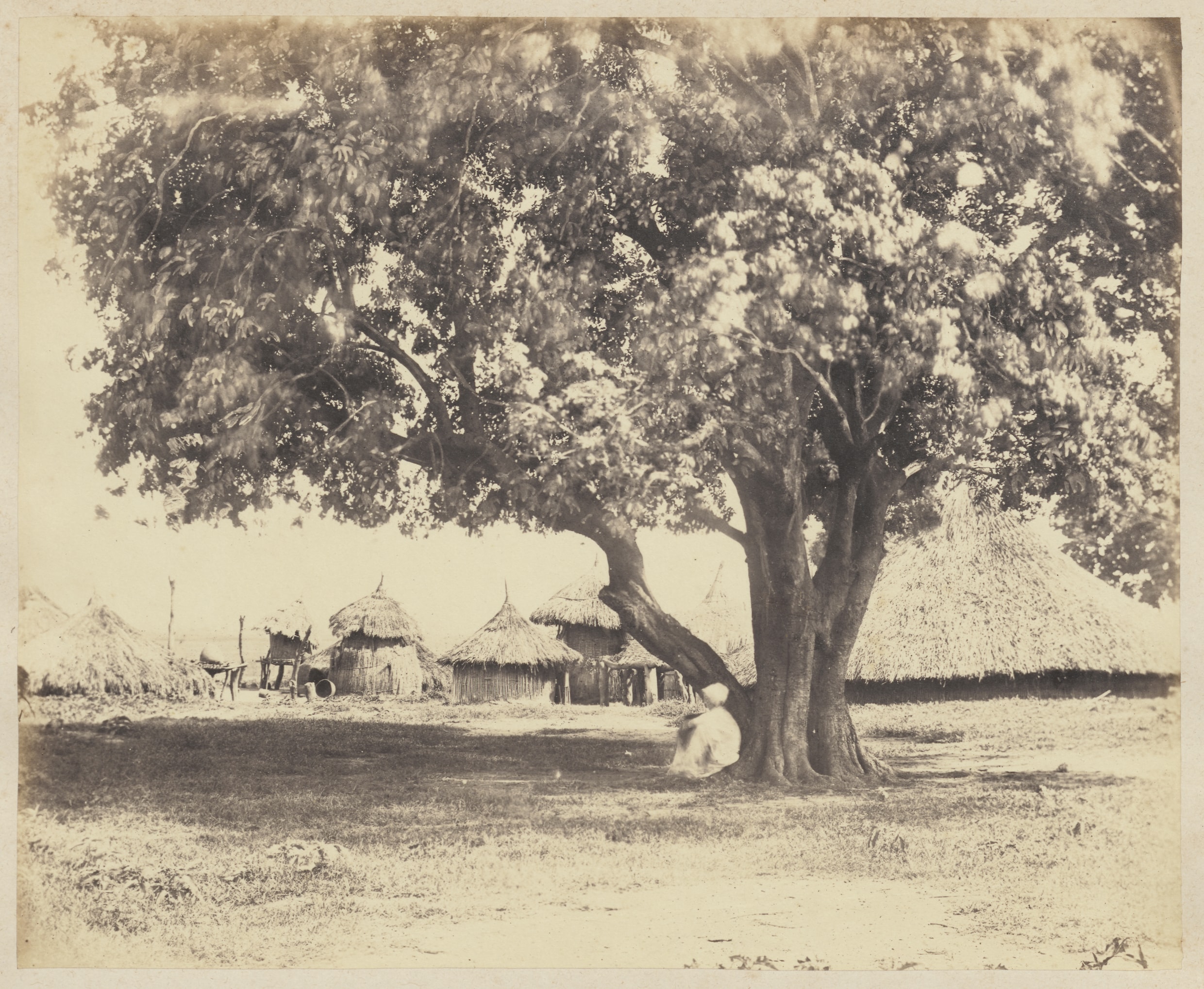 Universiteitsbibliotheek Leiden koopt 18 Afrikaanse foto’s uit 1862 ...