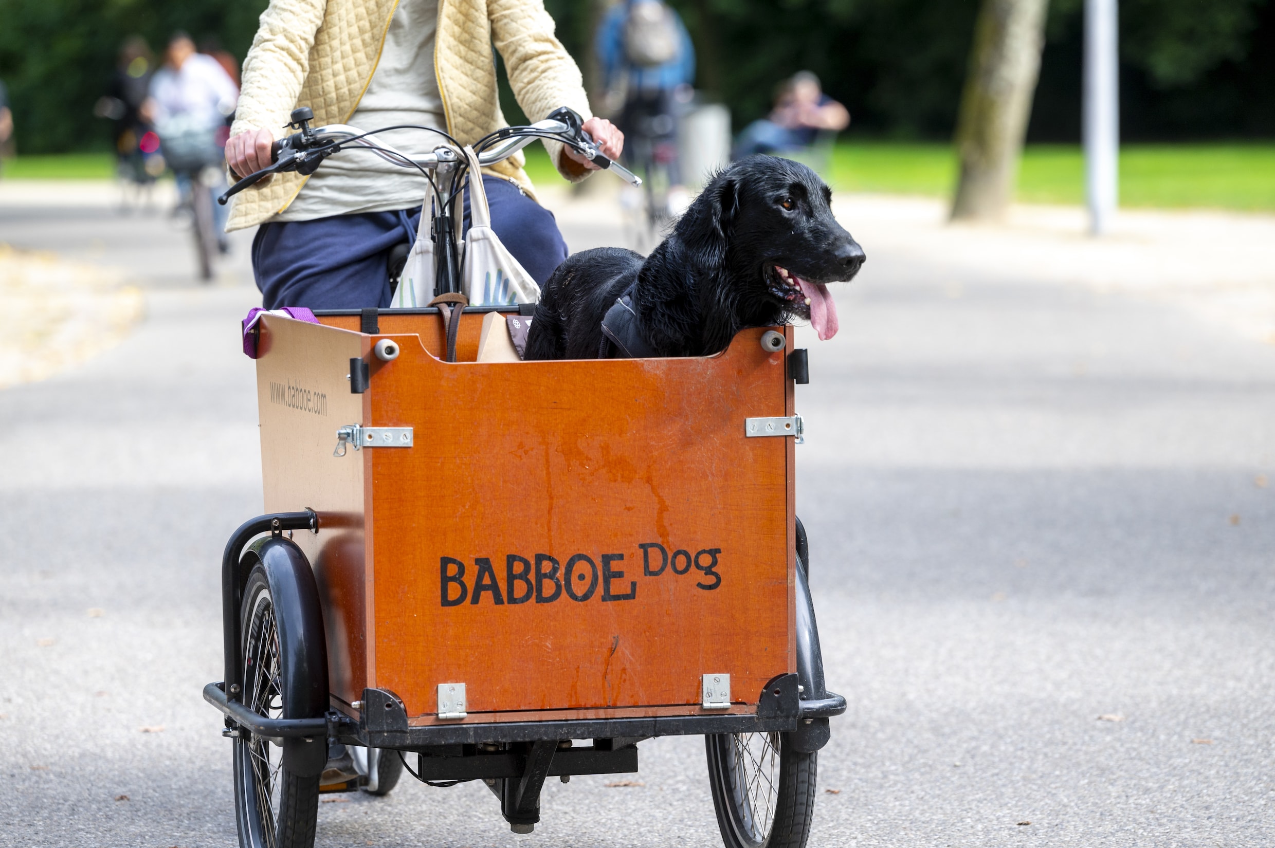 Bakfietsfabrikant Babboe moet verkoop stilleggen vanwege groot aantal ...