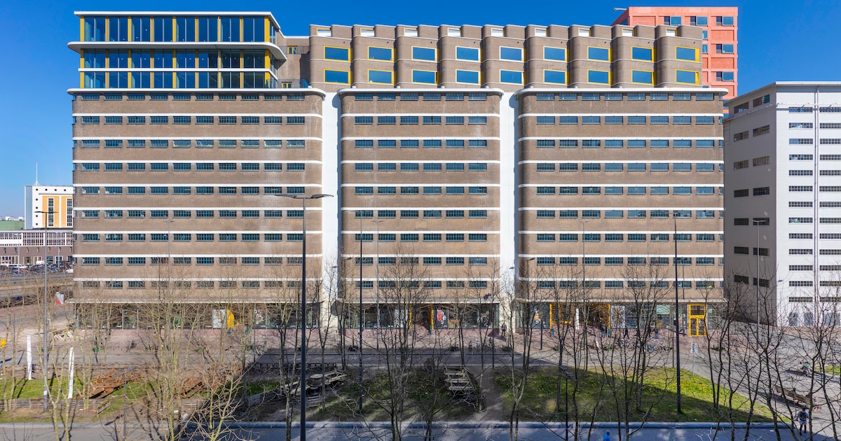 Het dak op voor extra woonruimte: is het ‘optoppen’ van gebouwen de oplossing voor het ...