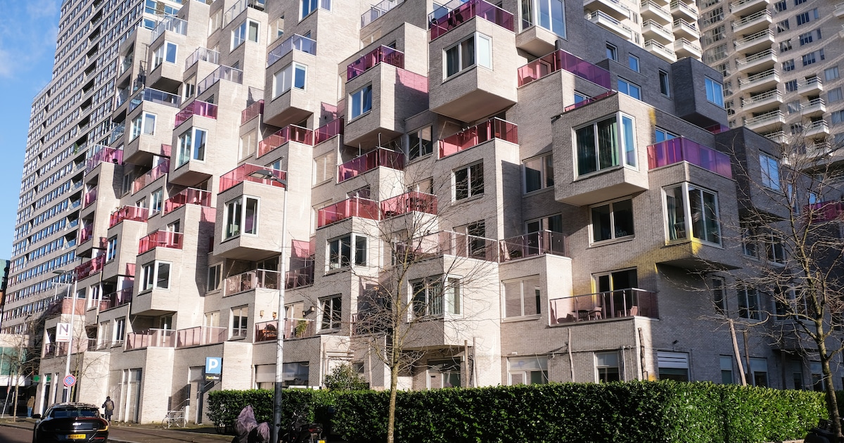 Huurverlaging in de vrije sector? Huisbazen smeken de Hoge Raad om ...