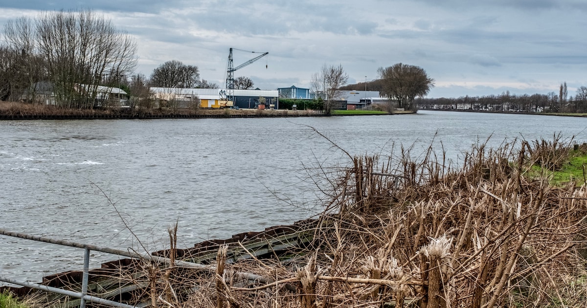 Bij bouw windmolens dreigt dwang – ook in Utrecht: ‘Dat hele gedoe ...