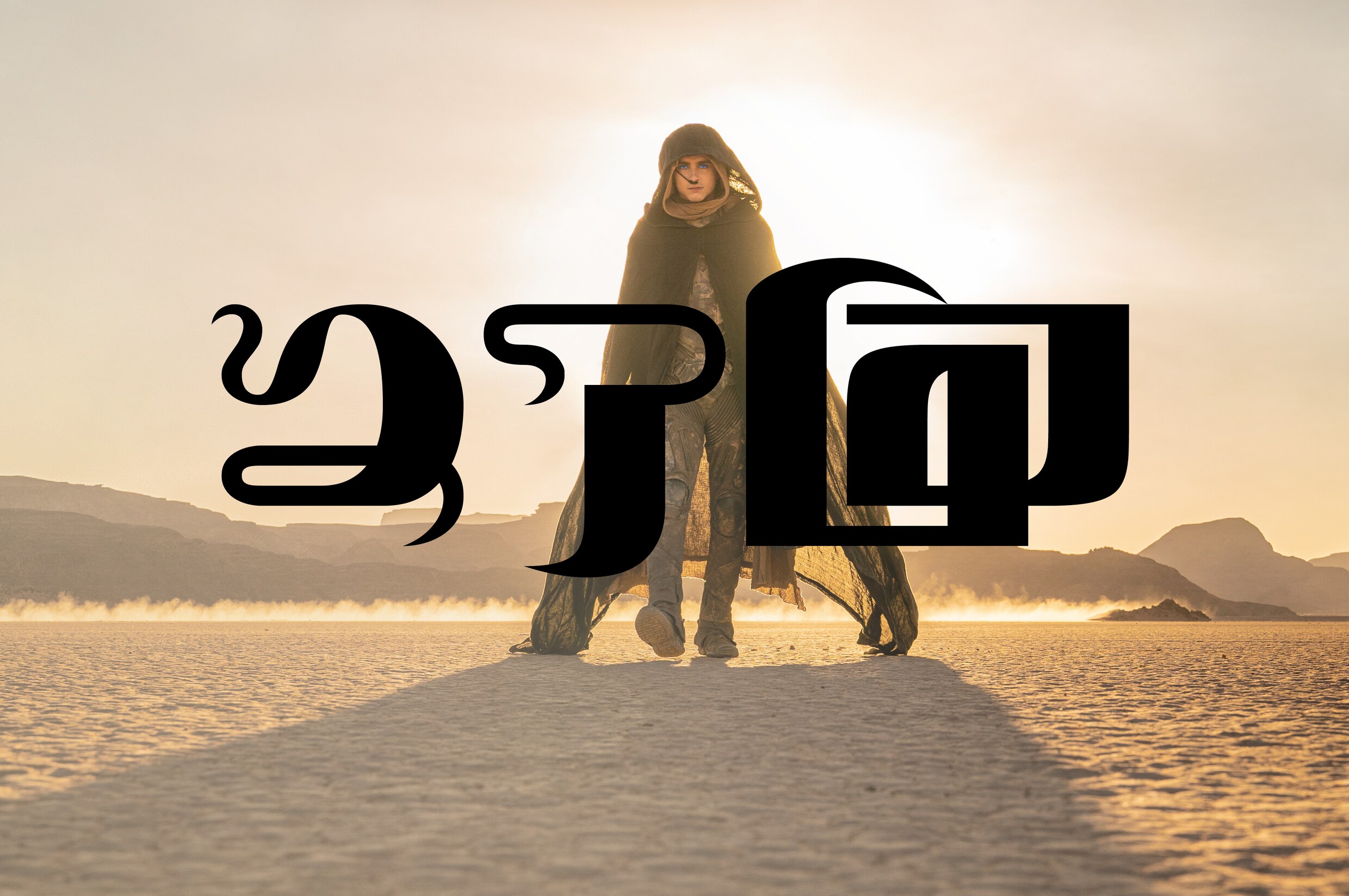 De taal in ‘Dune 2’ is verzonnen: hoe doe je dat, een nieuwe taal ...