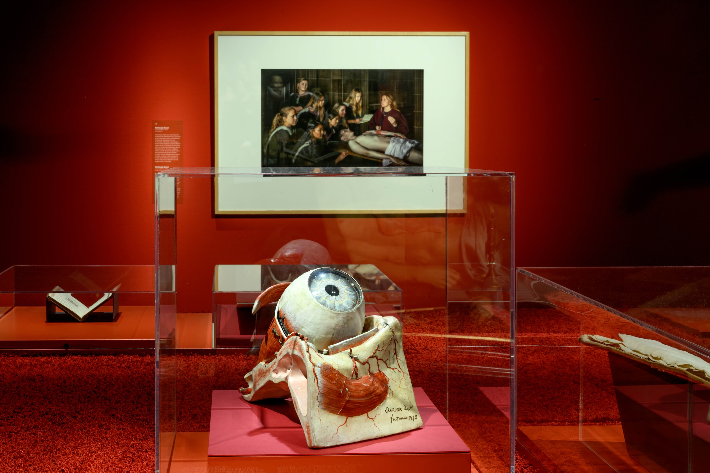 Alle kunst en kennis is in huis bij ‘De schepping van de wetenschap ...