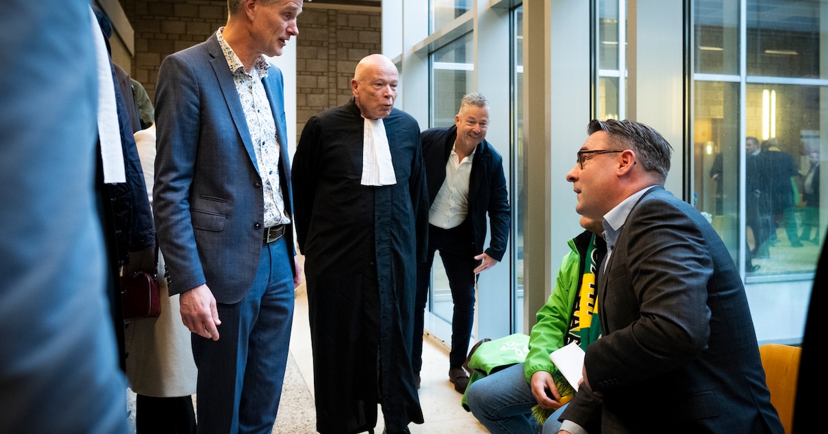 Lagere strafeis in hoger beroep tegen Richard de Mos: OM wil dat hij ...