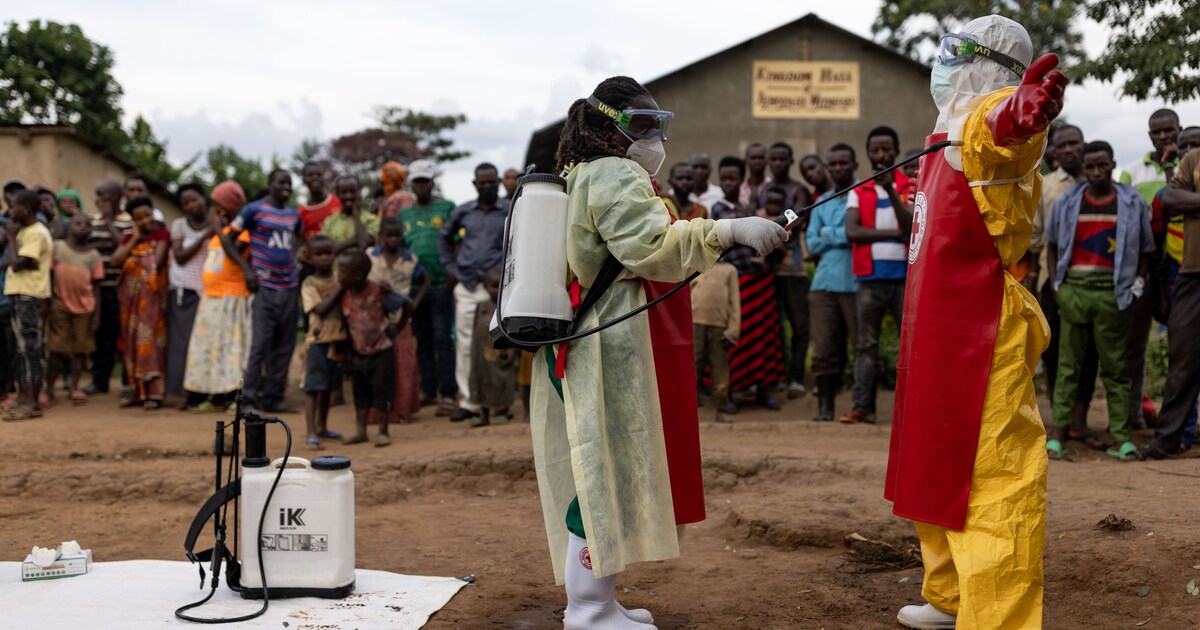 Ebola lijkt beheersbaar te worden: pillenkuur in aantocht | de Volkskrant