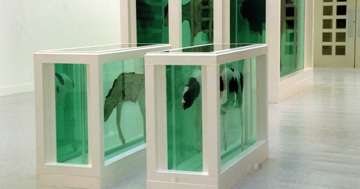 Concept of bedrog? Damien Hirst antedateert zijn kunstwerken van dieren ...