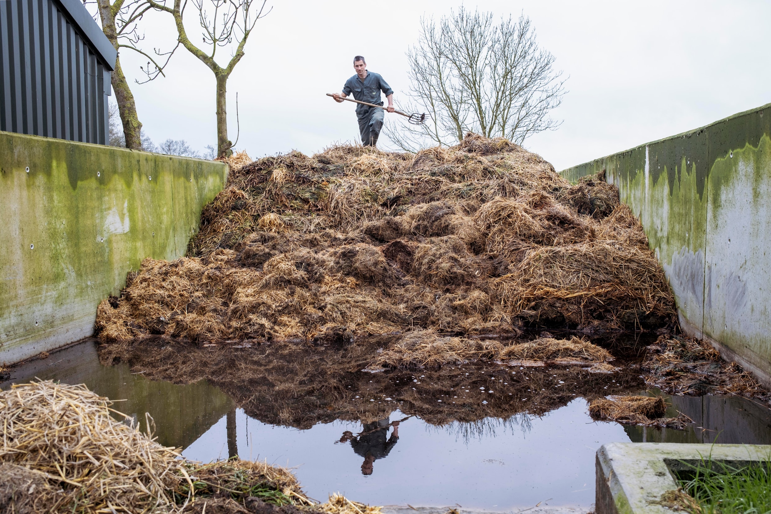 Strengere mestregels zetten boer Spruit voor het blok: ‘Volgend jaar ...