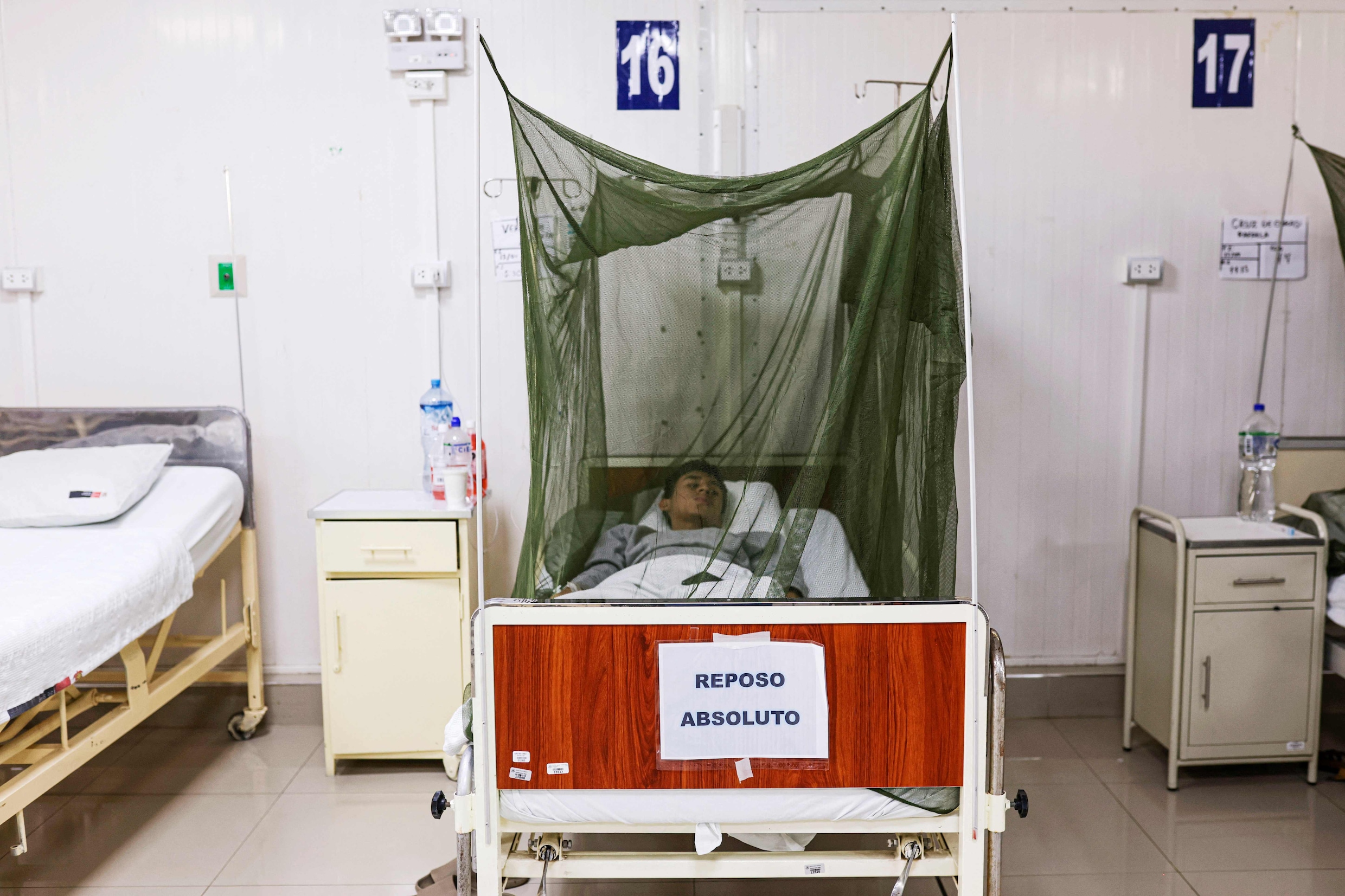 Knokkelkoorts houdt huis in Indonesië, speciaal geïnfecteerde mug kan ...