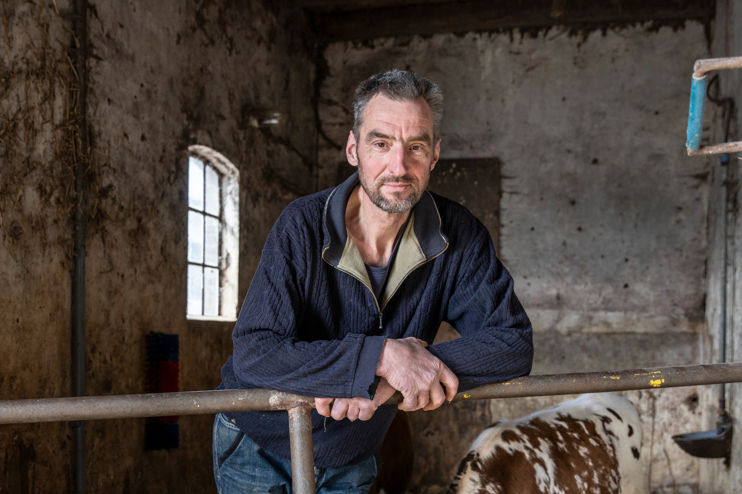 Vijf jaar stikstofcrisis heeft boeren en de overheid uit elkaar ...