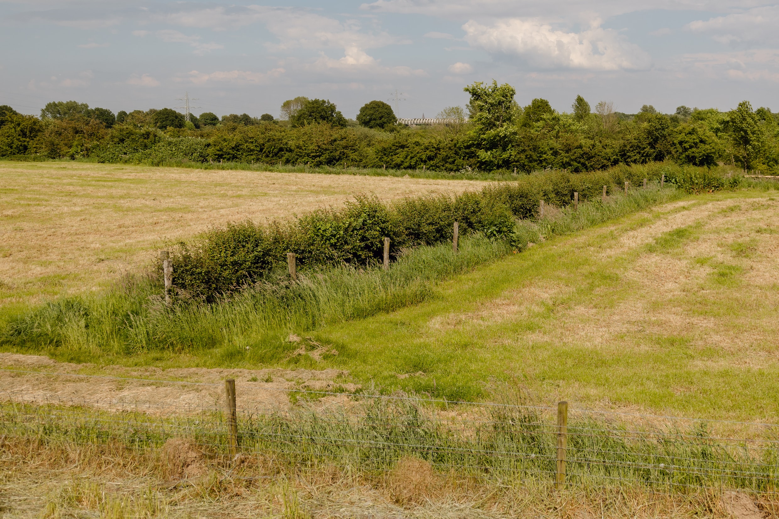 De heg komt weer terug in Nederland, en verbindt zo natuur met ...
