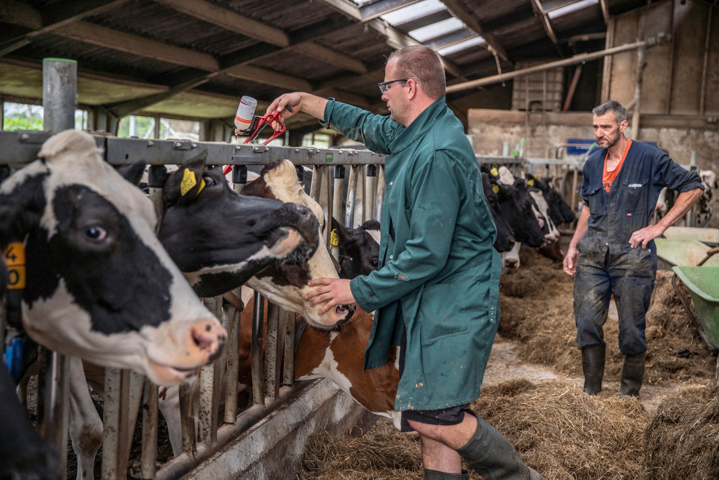 Vijf jaar stikstofcrisis heeft boeren en de overheid uit elkaar ...