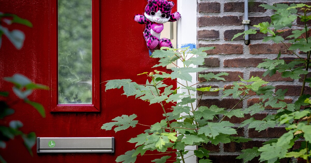 Van poging tot doodslag verdachte pleegouders uit Vlaardingen blijven zeker twee weken ...