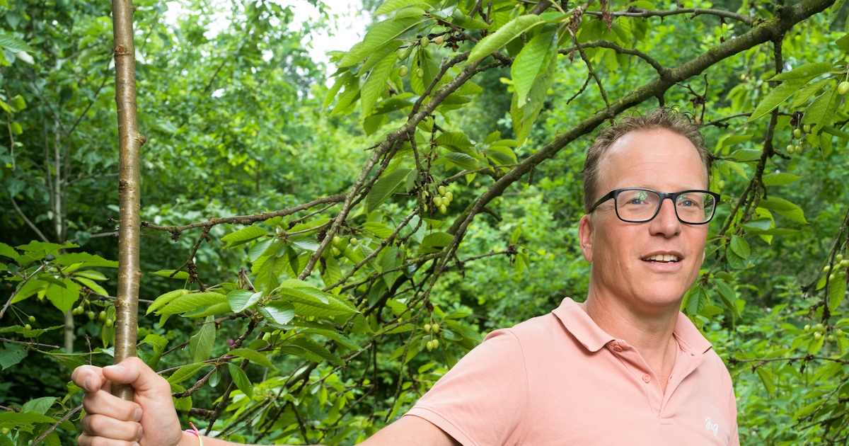 ‘Liever breng ik het positieve verhaal: ‘de transitie’ is keileuk en ...