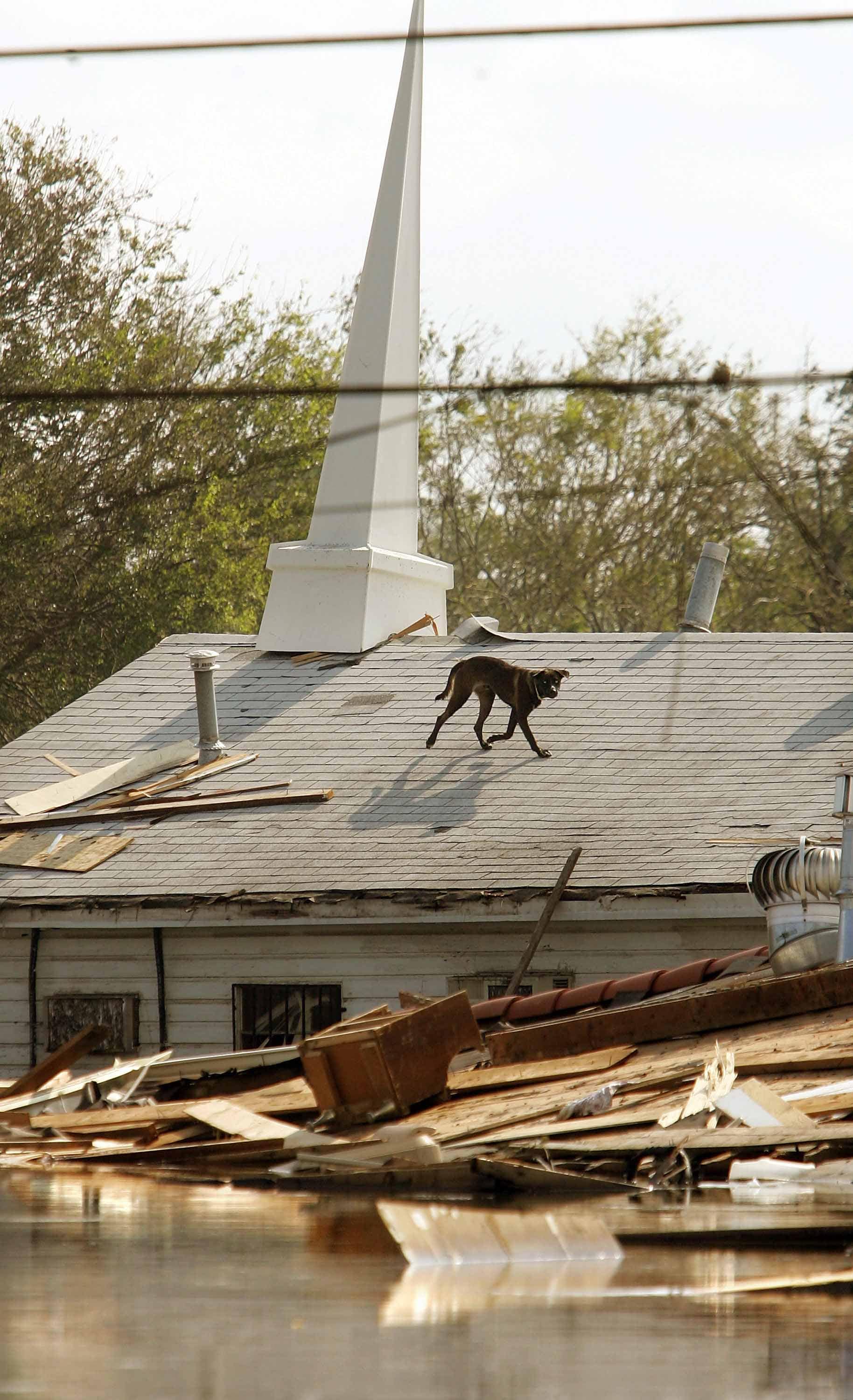 Van overstromingen tot ontploffingen: wat valt er te leren van de ...