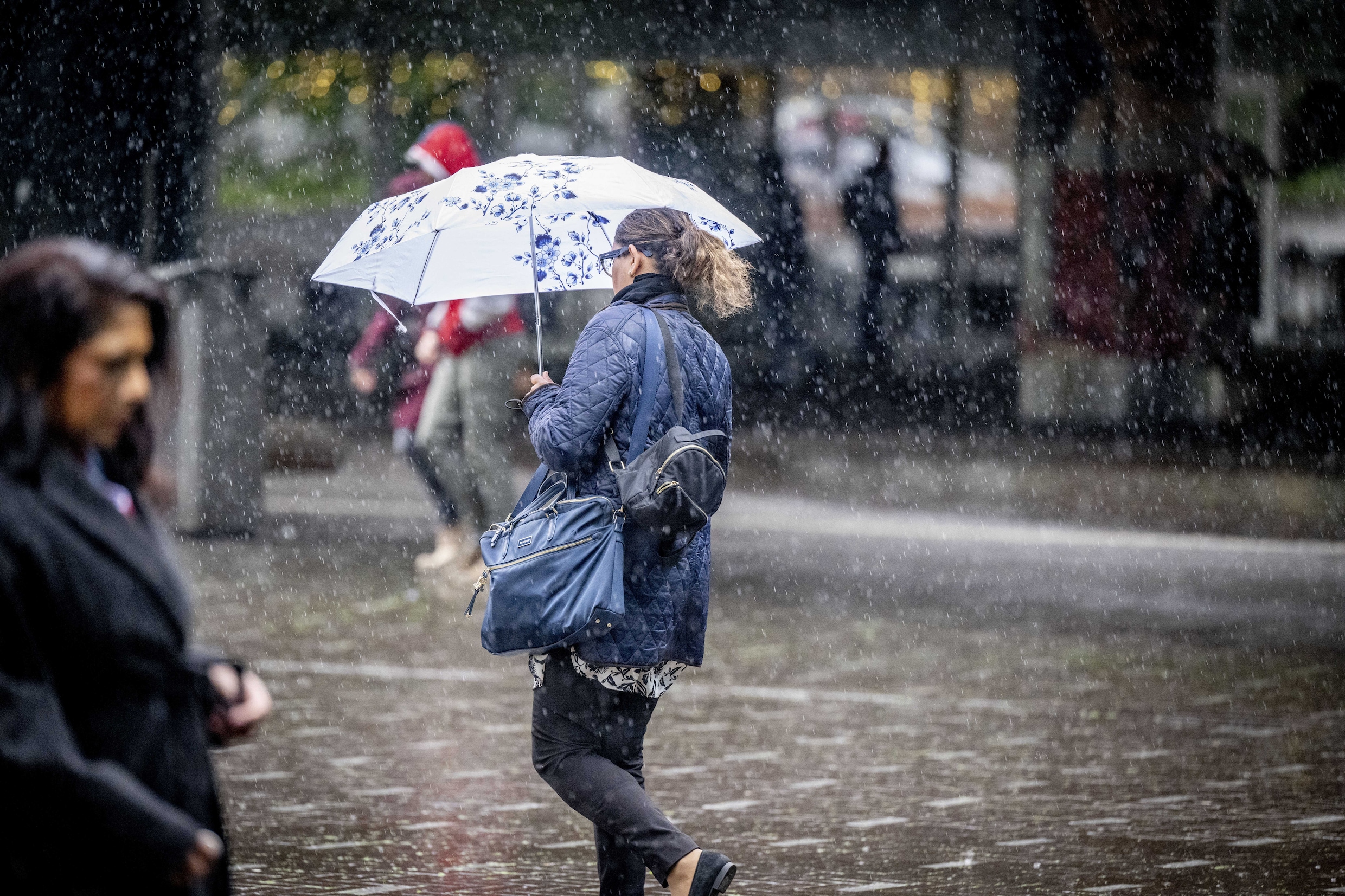 Het is juni en het lijkt wel herfst. Wat is er aan de hand? | de Volkskrant