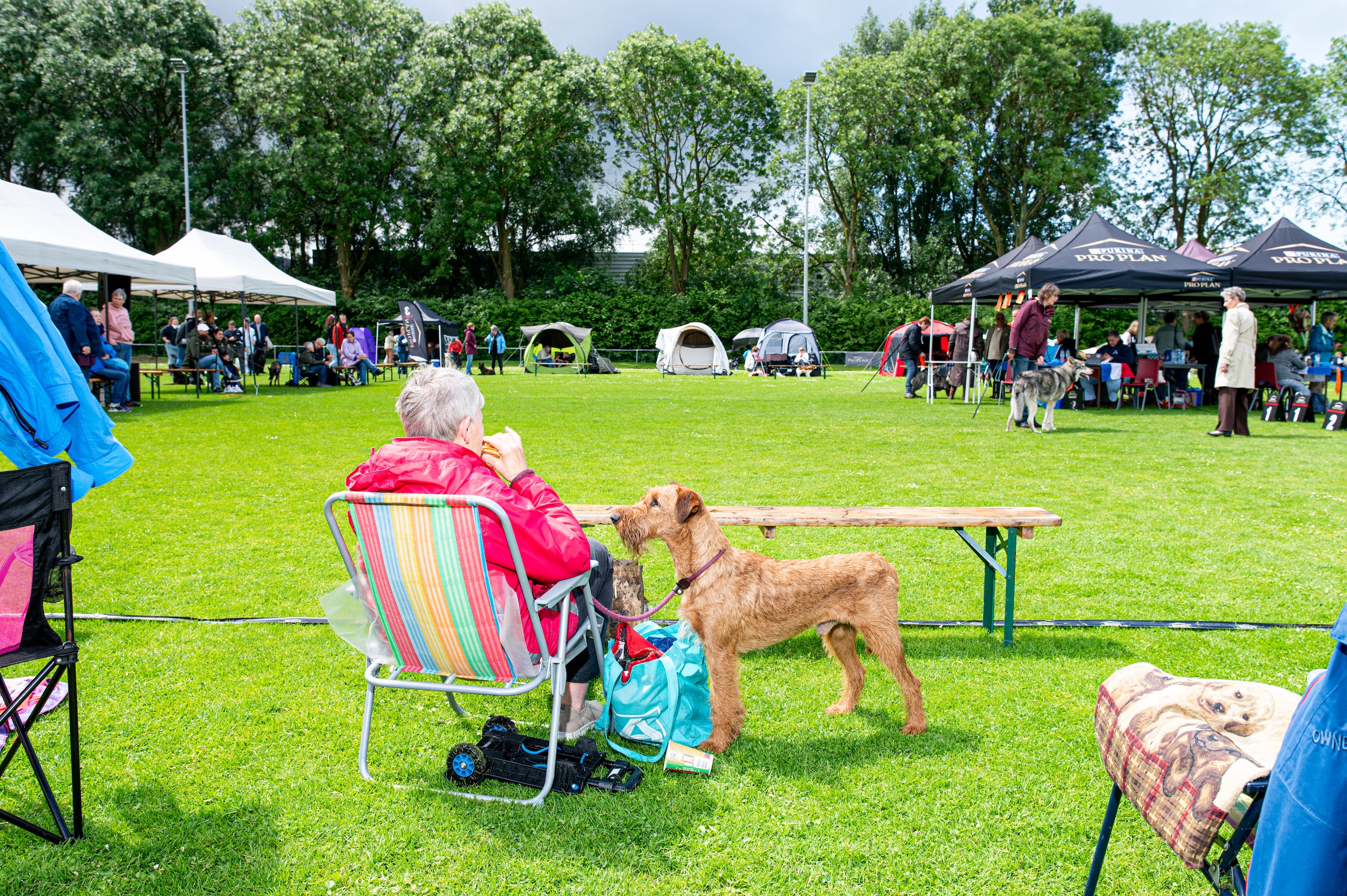 Actrice Patsy Kroonenberg (25) ging naar hondenshows voor haar stuk op ...