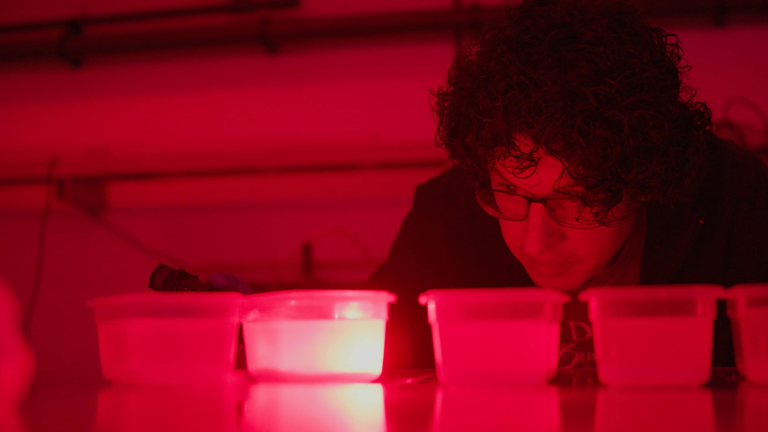 In ‘Palingdans’ volgt de kijker de vis over de hele wereld, maar echt ...