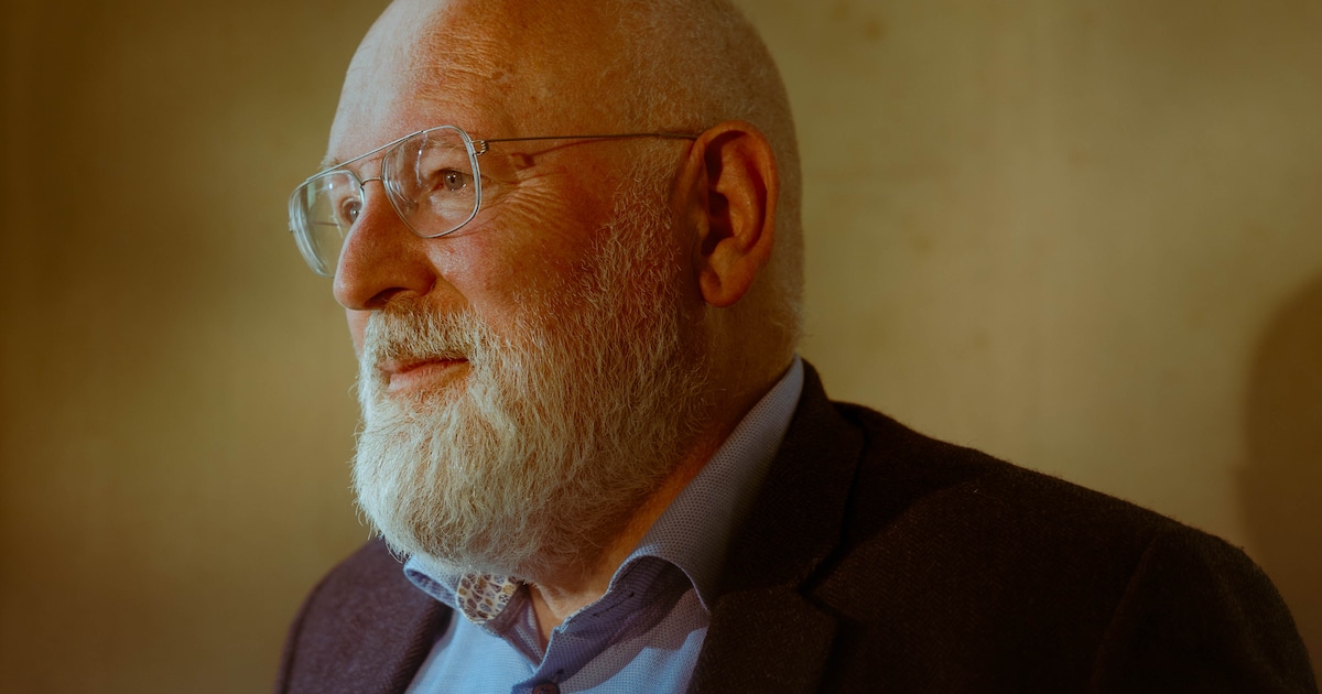 Timmermans over kabinet-Schoof: ‘Wilders heeft Yesilgöz en Omtzigt precies waar hij ze hebben ...