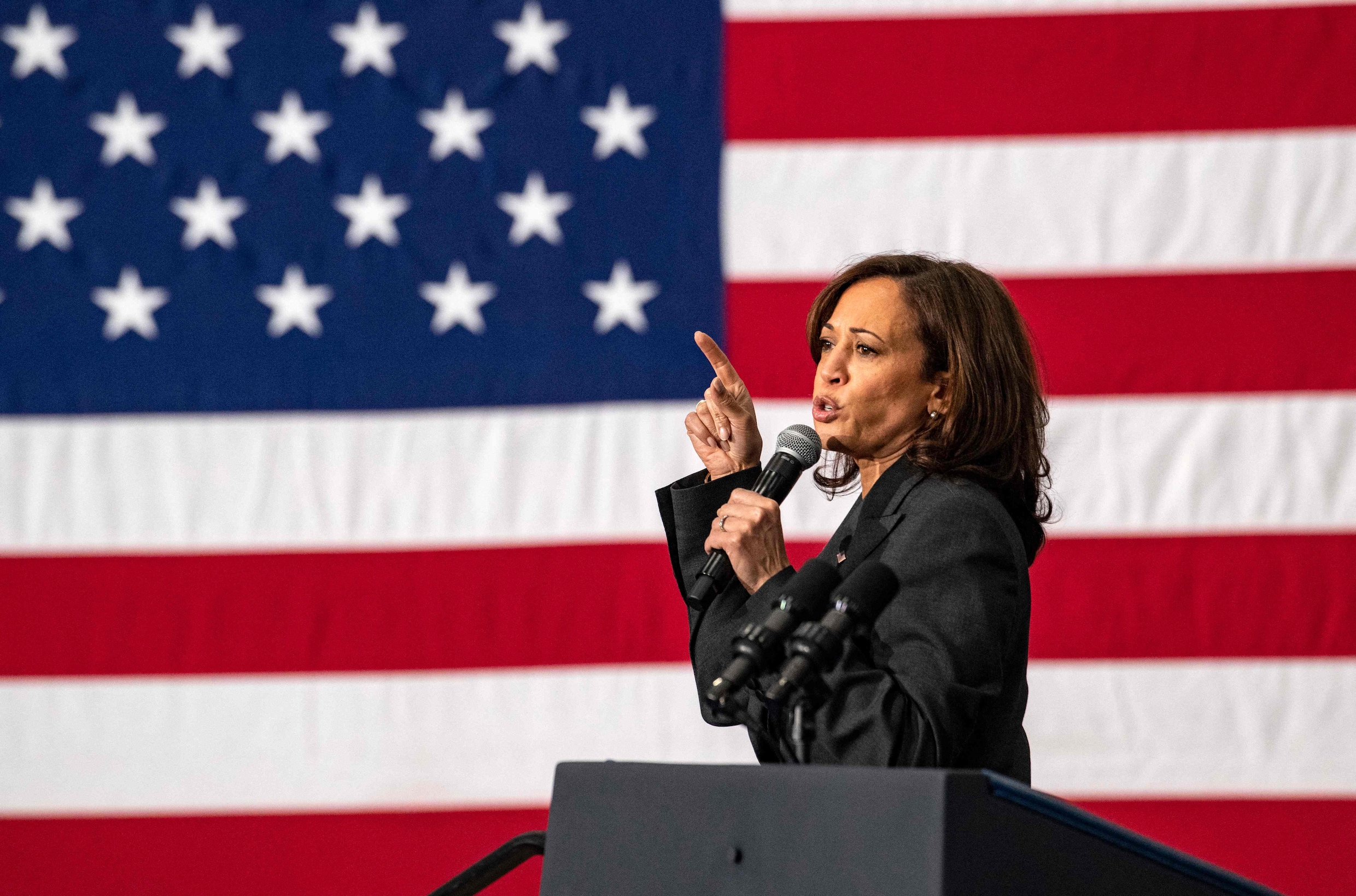 Wat zeggen Amerika-deskundigen over Kamala Harris? | de Volkskrant