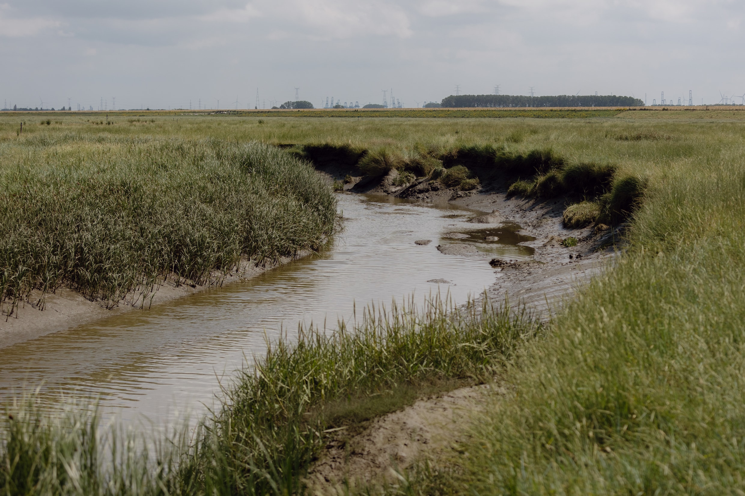 Laag op laag op laag, zoals hier op de schorren langs de rand van de ...