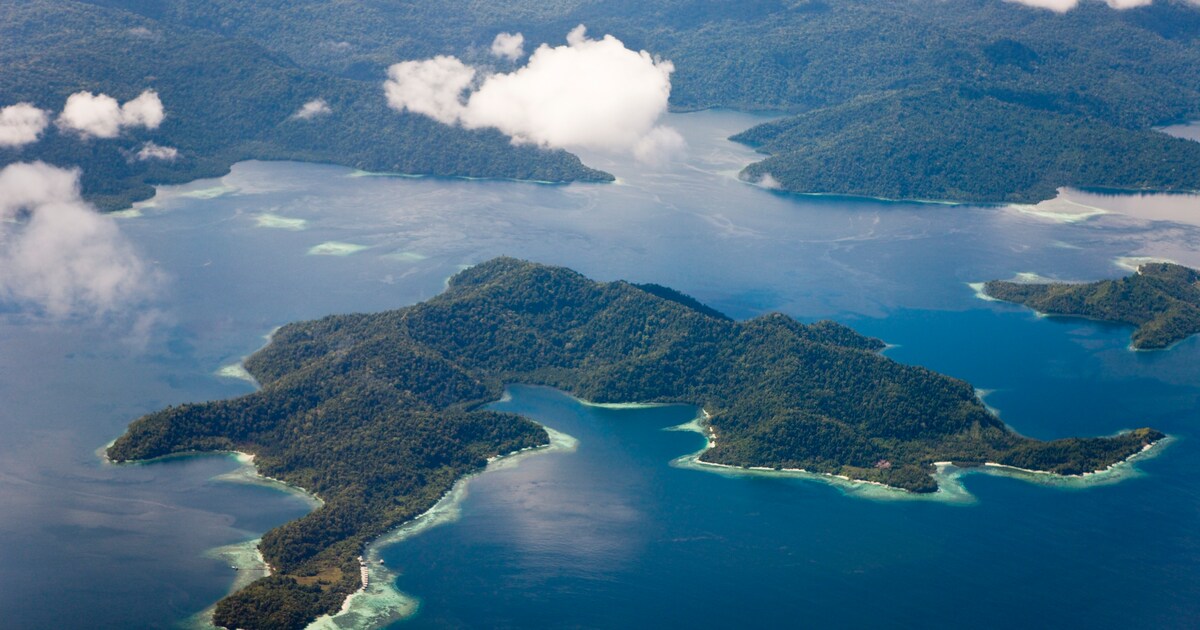 Separatistische Papoea’s doden Nieuw-Zeelandse helikopterpiloot | de ...