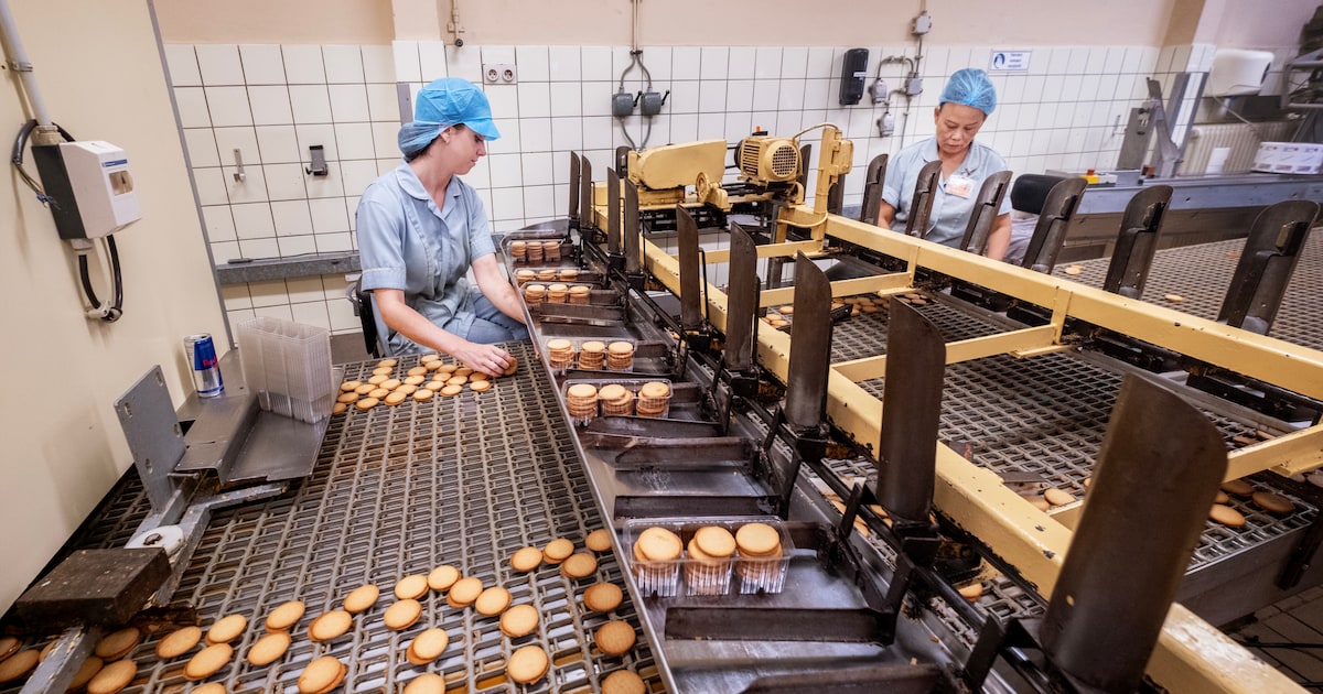 Het einde van de Punselie, een Gouds wereldkoekje | de Volkskrant