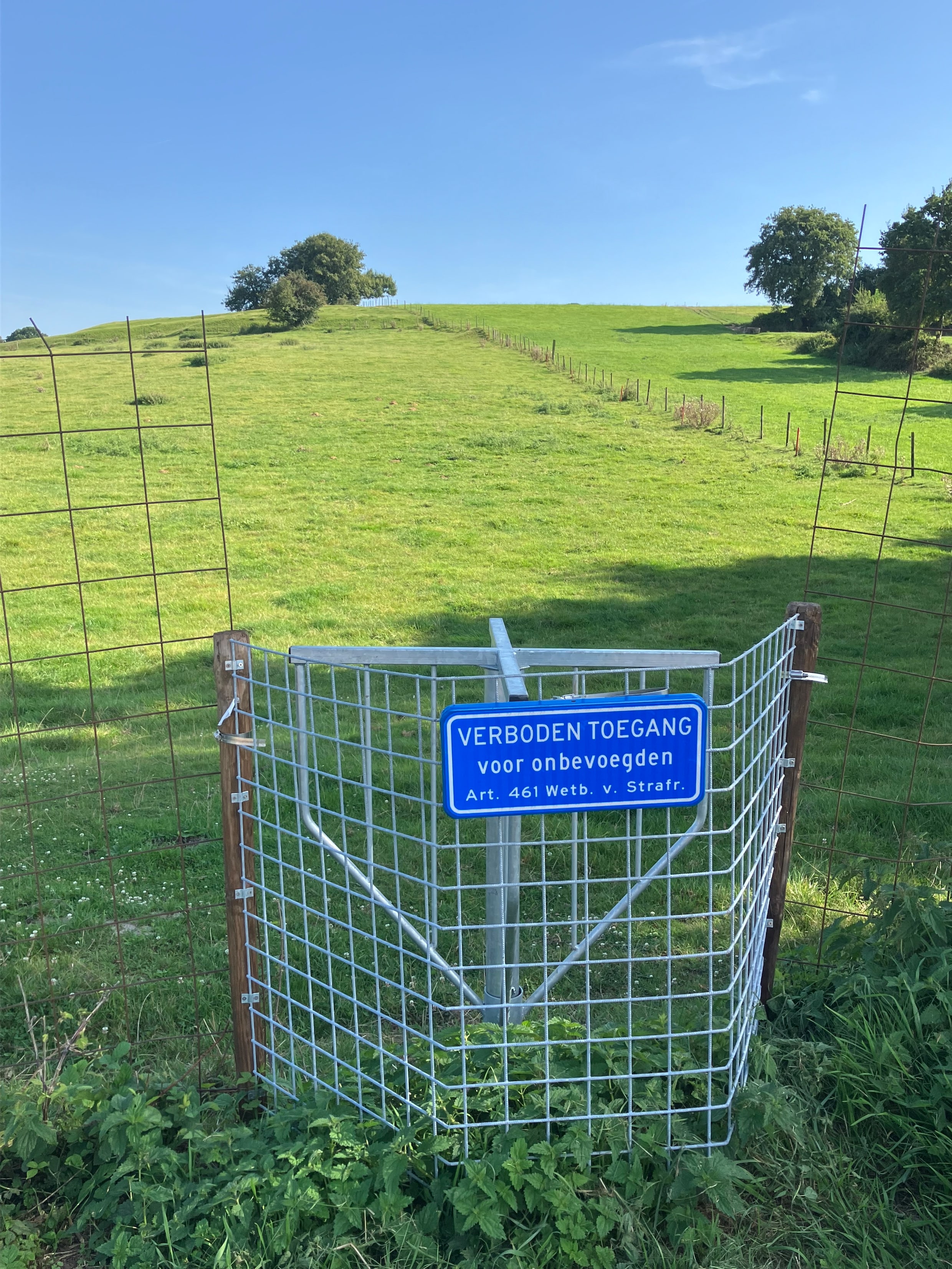 De koeien zullen wijken voor een villapark met ‘nieuwe natuur’, 90 ...