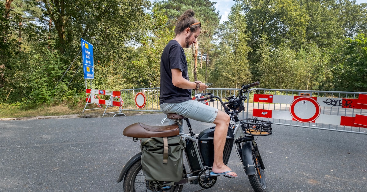 De jacht op Bram, de wolf die Nederland in zijn greep houdt | de Volkskrant