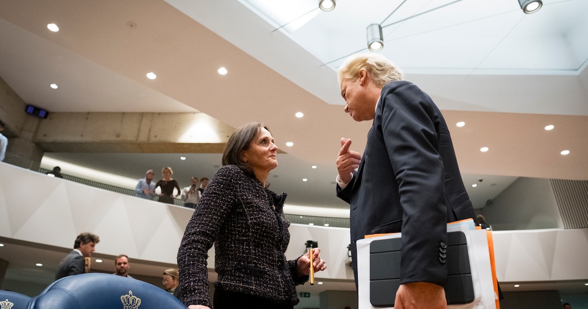 Politici die zich niet durven uitspreken, laten nu de Raad van State ...