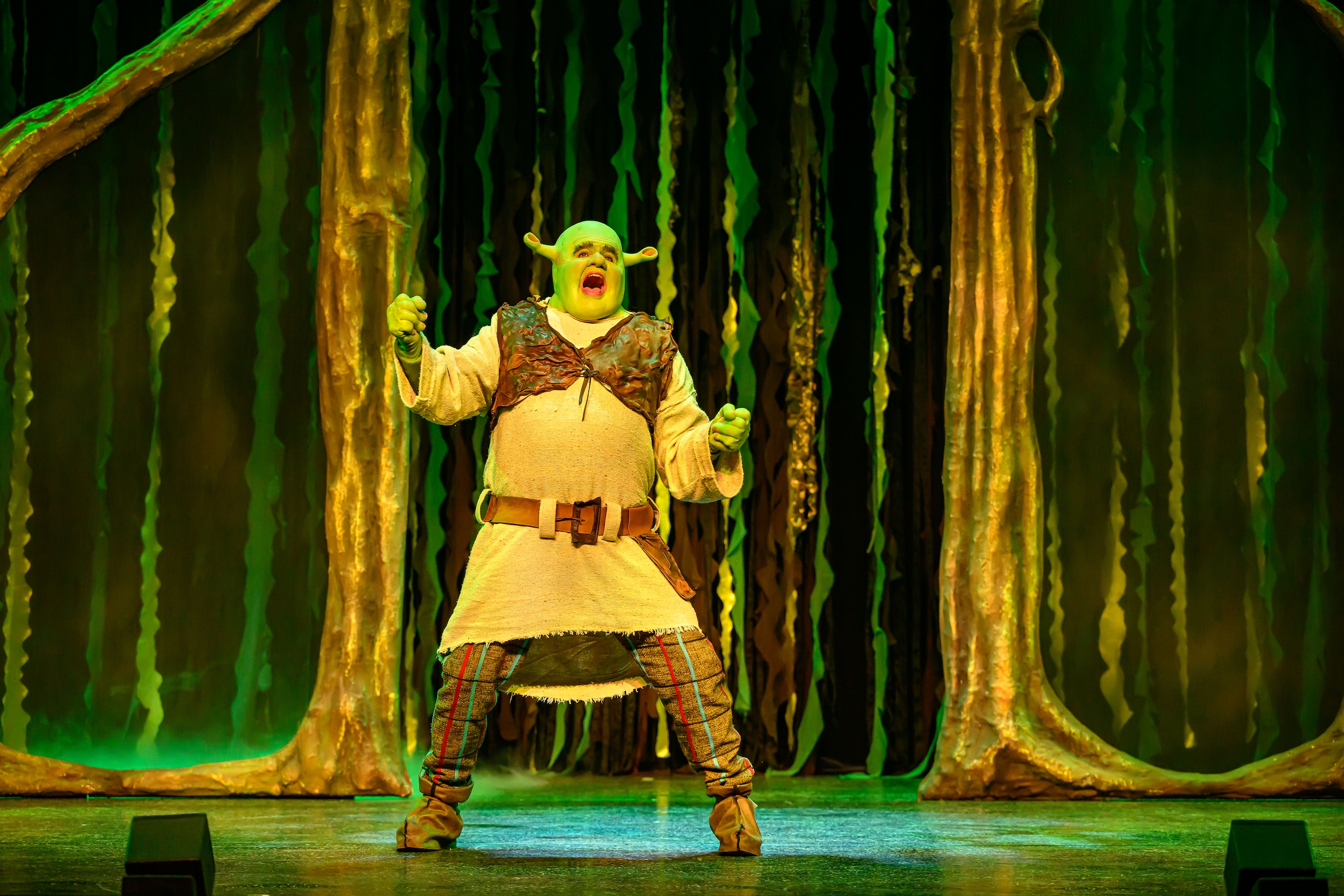 ‘Shrek de Musical’ is een feestelijk familie-uitje | de Volkskrant