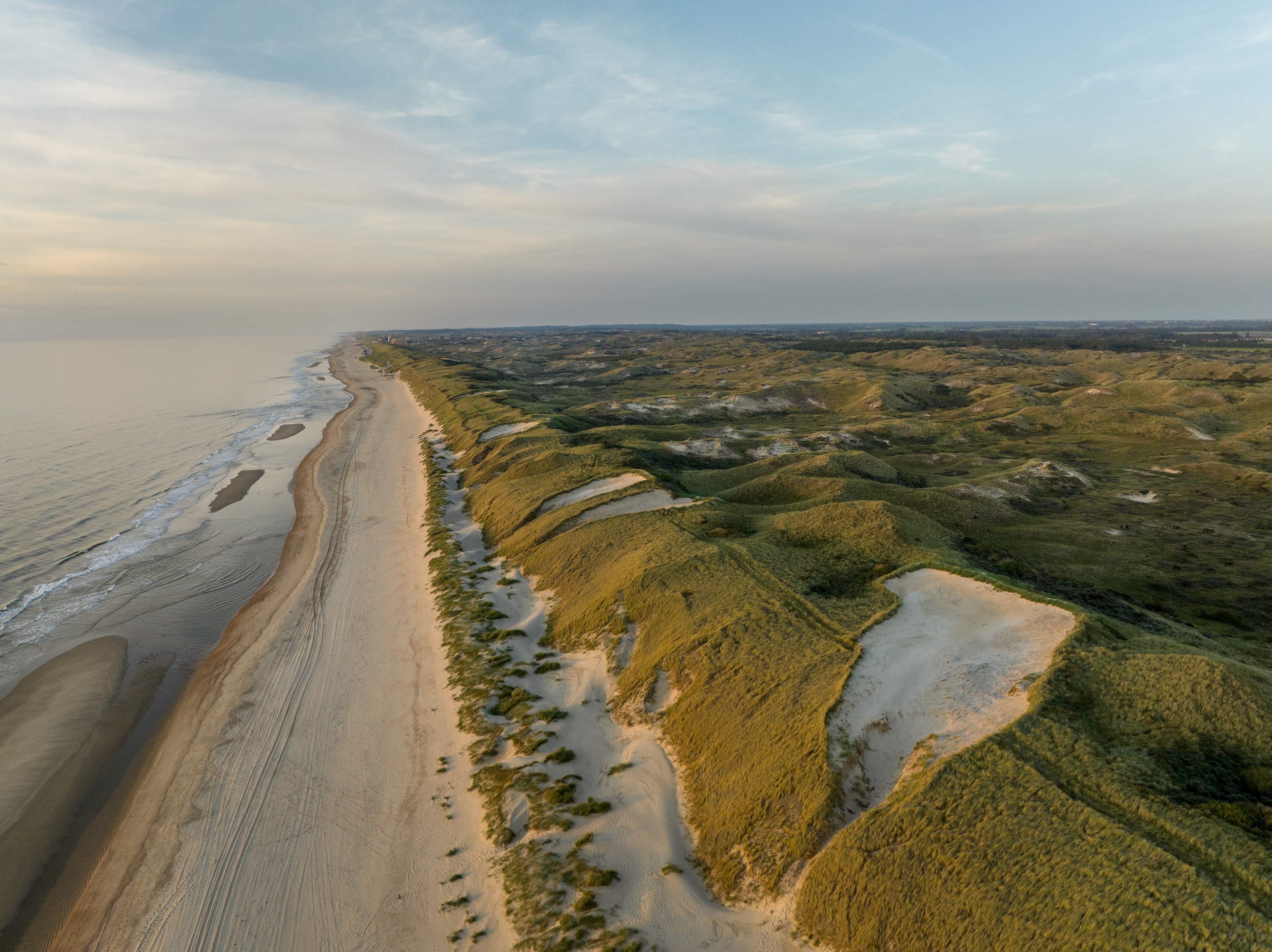 Fotograaf Loek Buter zag hoe de Nederlandse duinen weer wat vrijer mogen ‘wandelen’ | de Volkskrant
